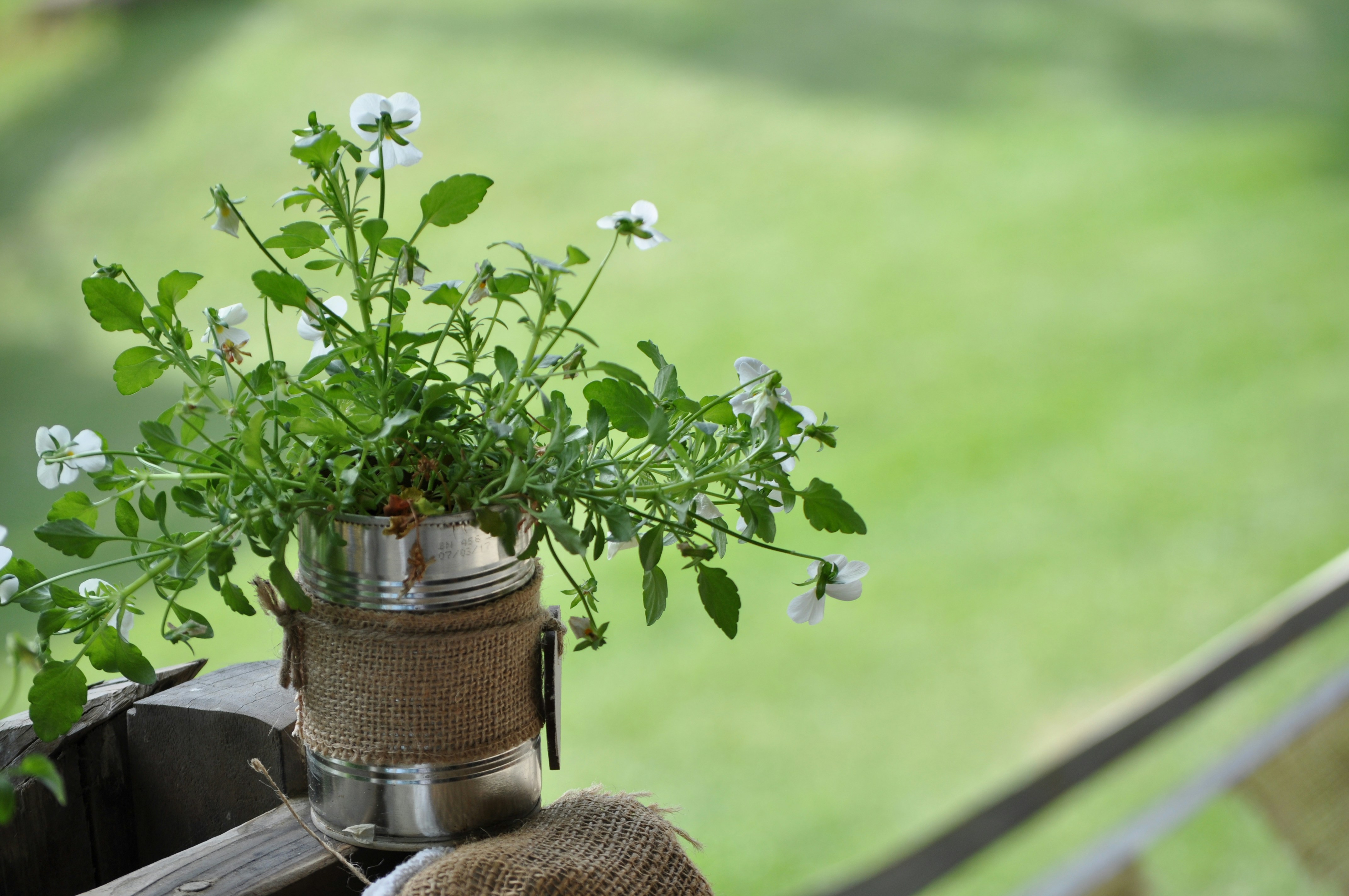 Metallic planter adorned with delicate white flowers, resting on a rustic wooden surface against a blurred green backdrop.