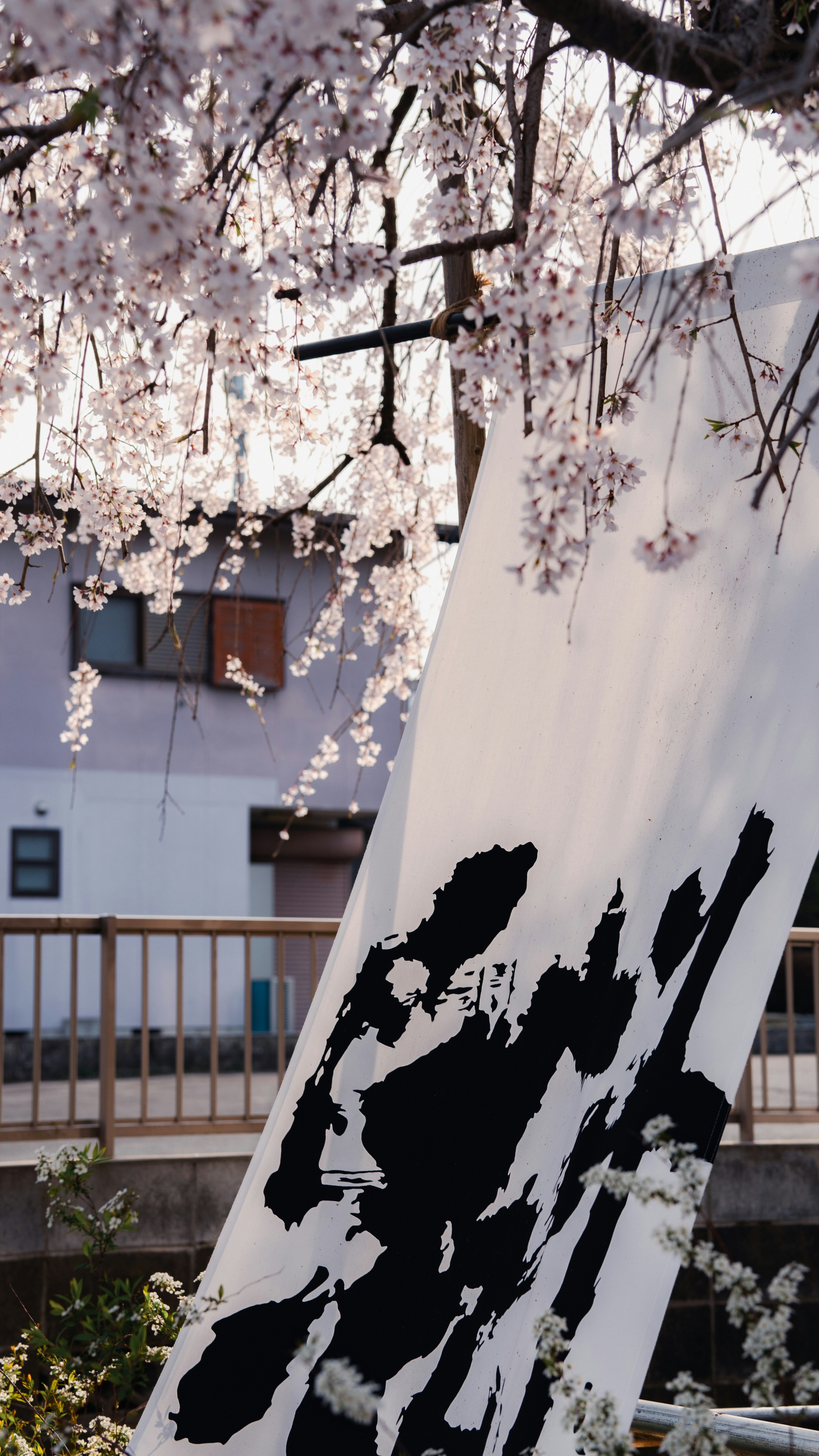 Ink-Map Banner: A Diagonal Graphic Beneath Spring Blossoms