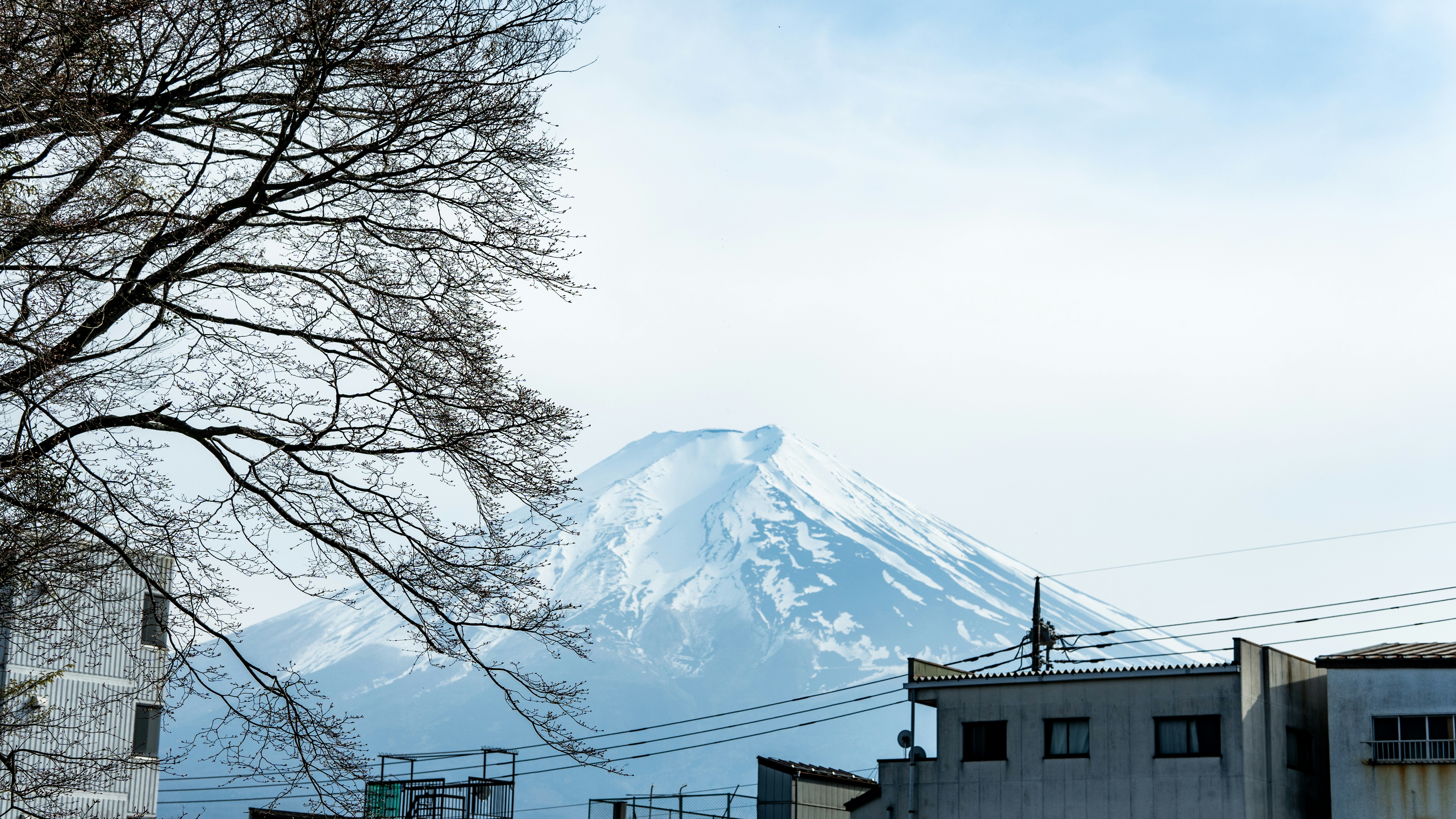 Snow-Capped Peak Looms Over a Quiet Urban Foreground