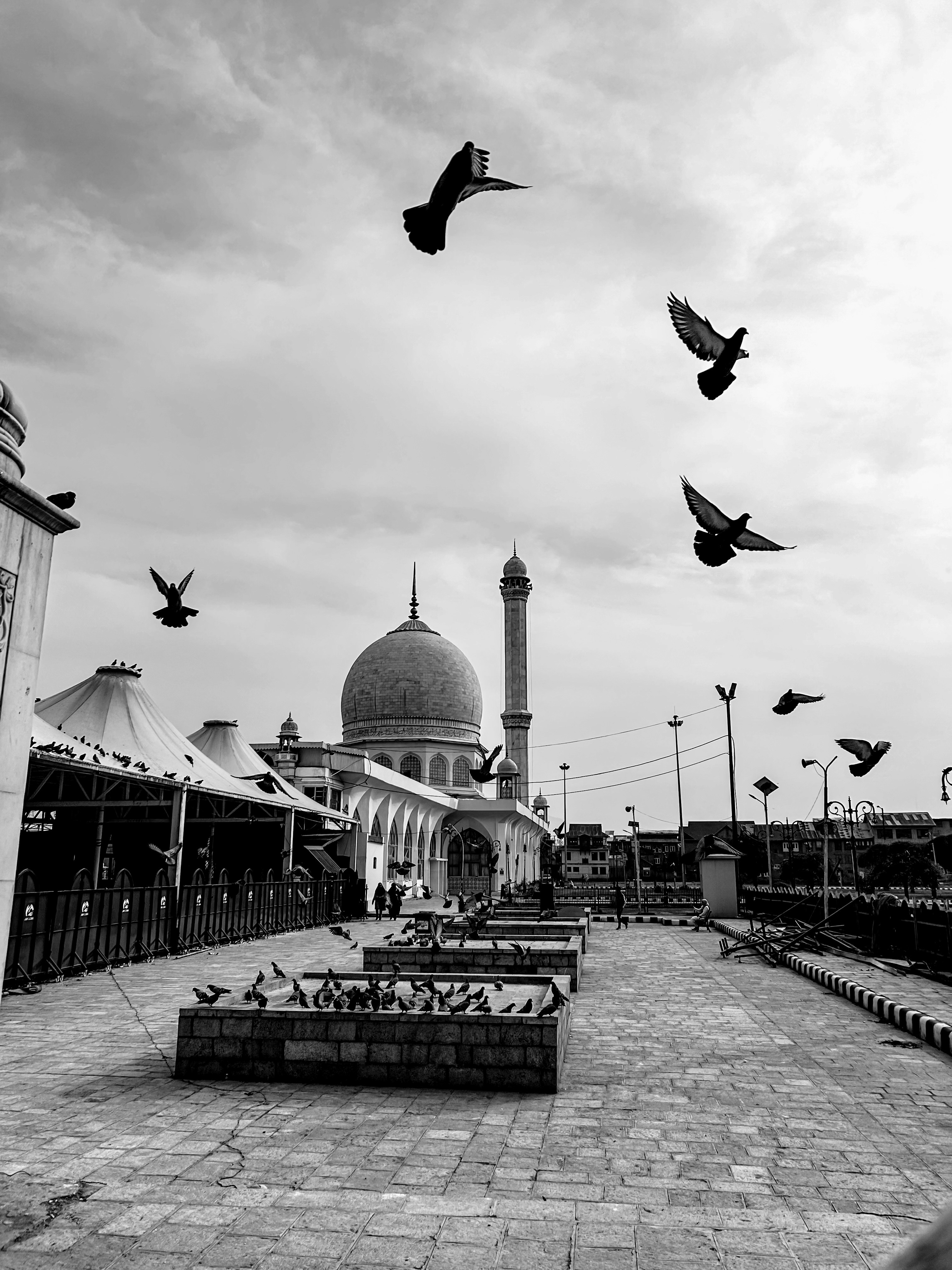 Doves Above the Dome: A Monochrome Mosque by the Sea