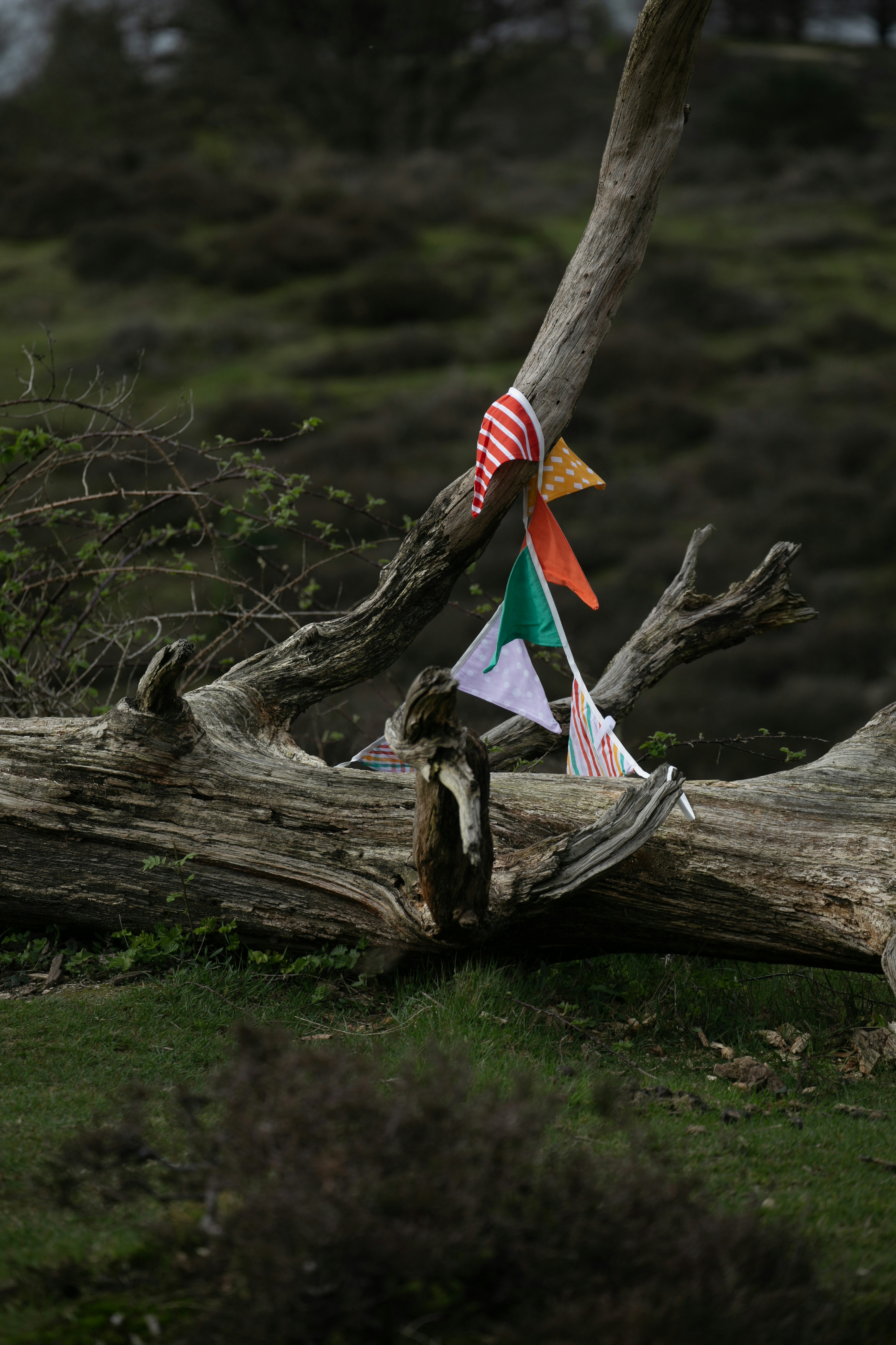 Colorful pennants stitched to a weathered log on a grassy hillside