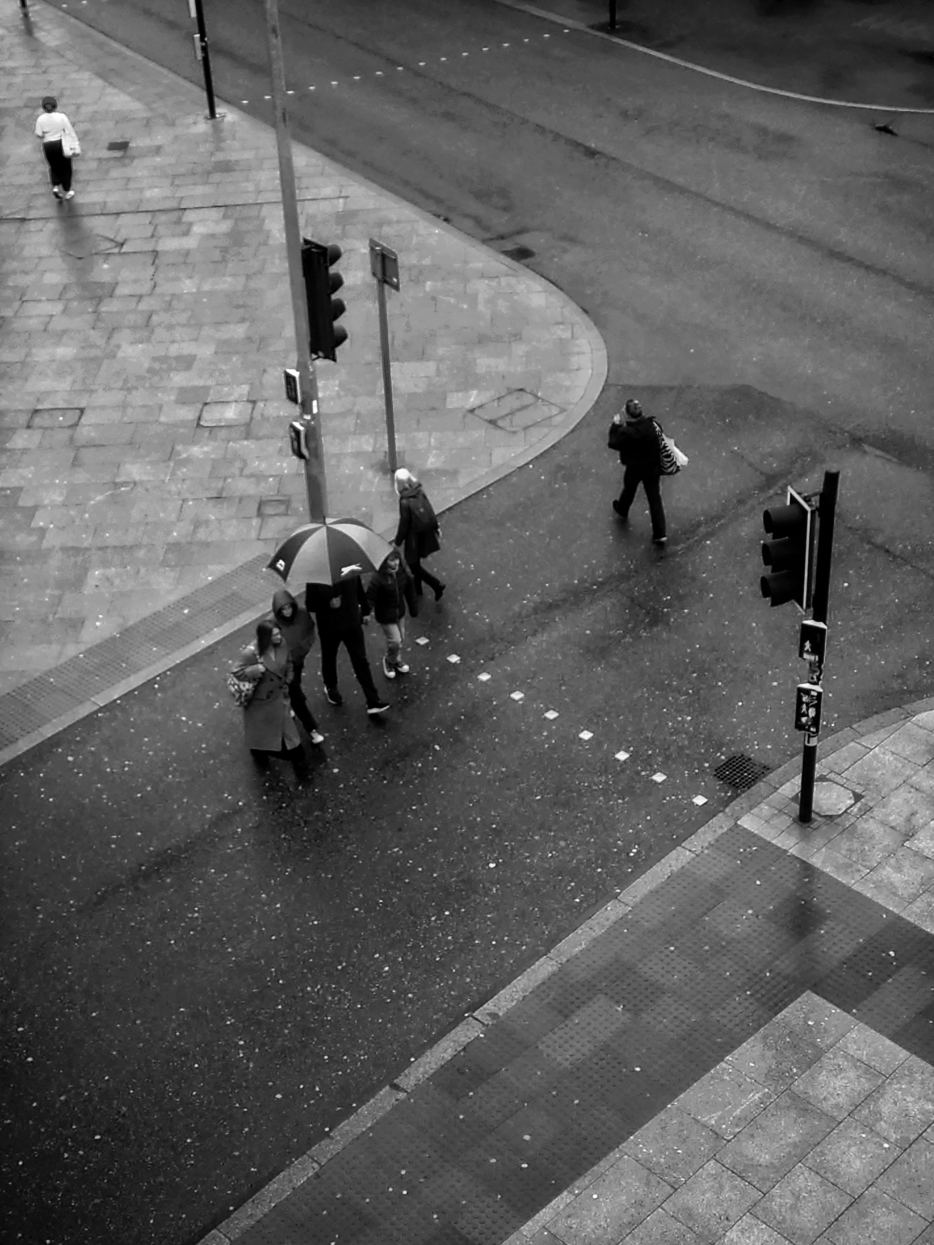 A black-and-white street photograph capturing a small group of pedestrians beneath an umbrella at a rainy city intersection. Wet pavement, crosswalk markings, and urban geometry frame the moment.