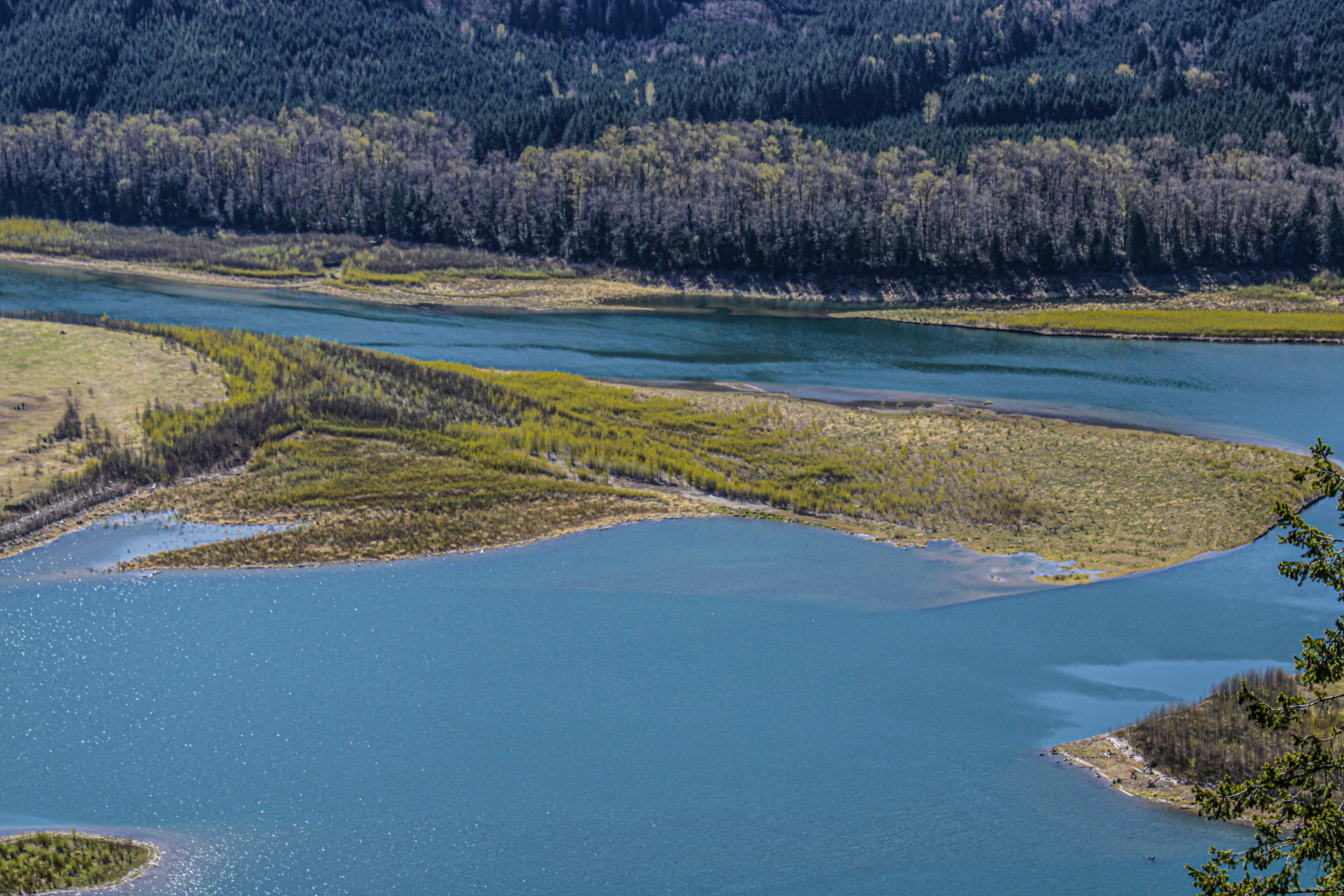 Turquoise River Delta: Meadow Islands Under Pine Ridge