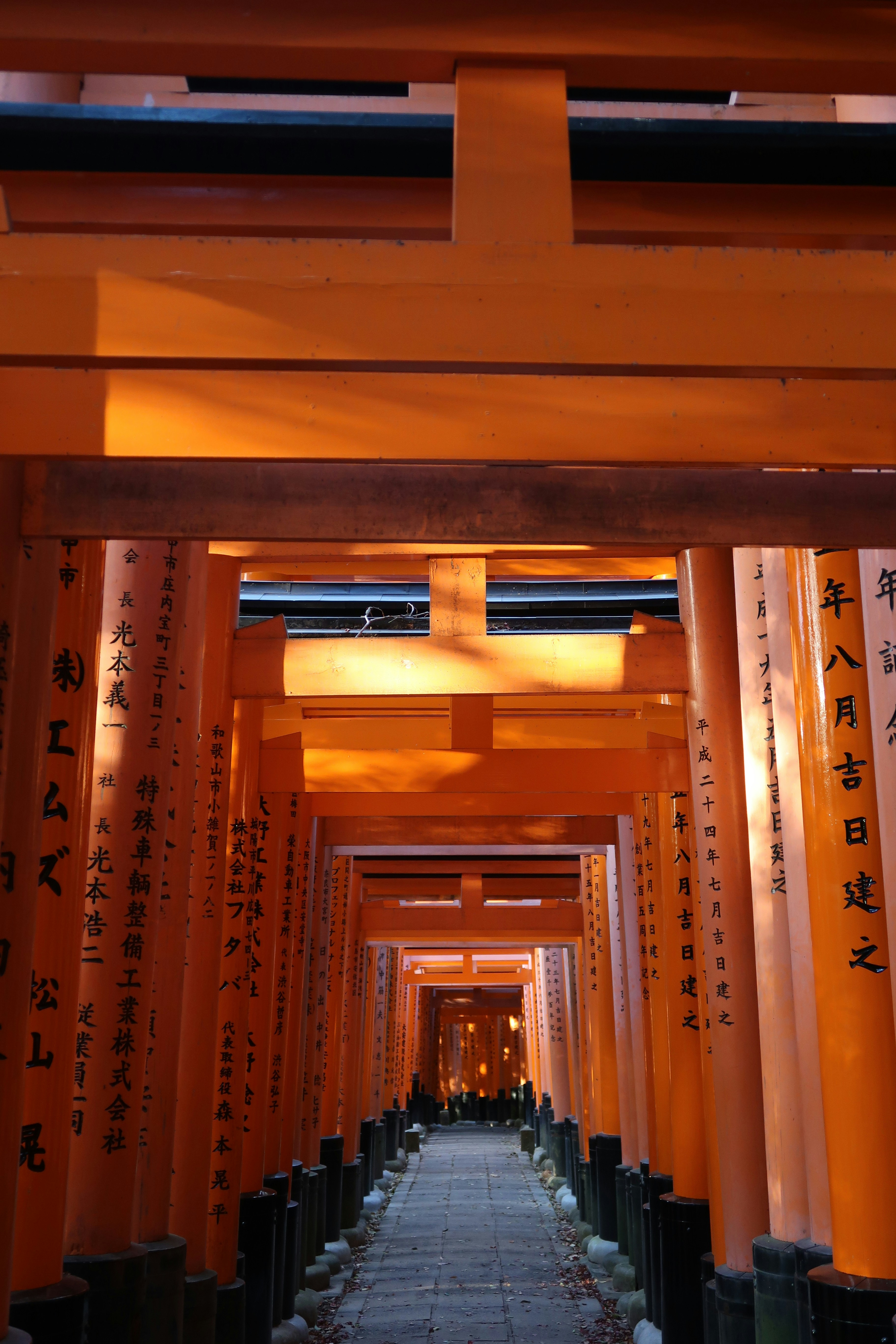 Photo by raquel bolas with Canon PowerShot G7 X Mark II