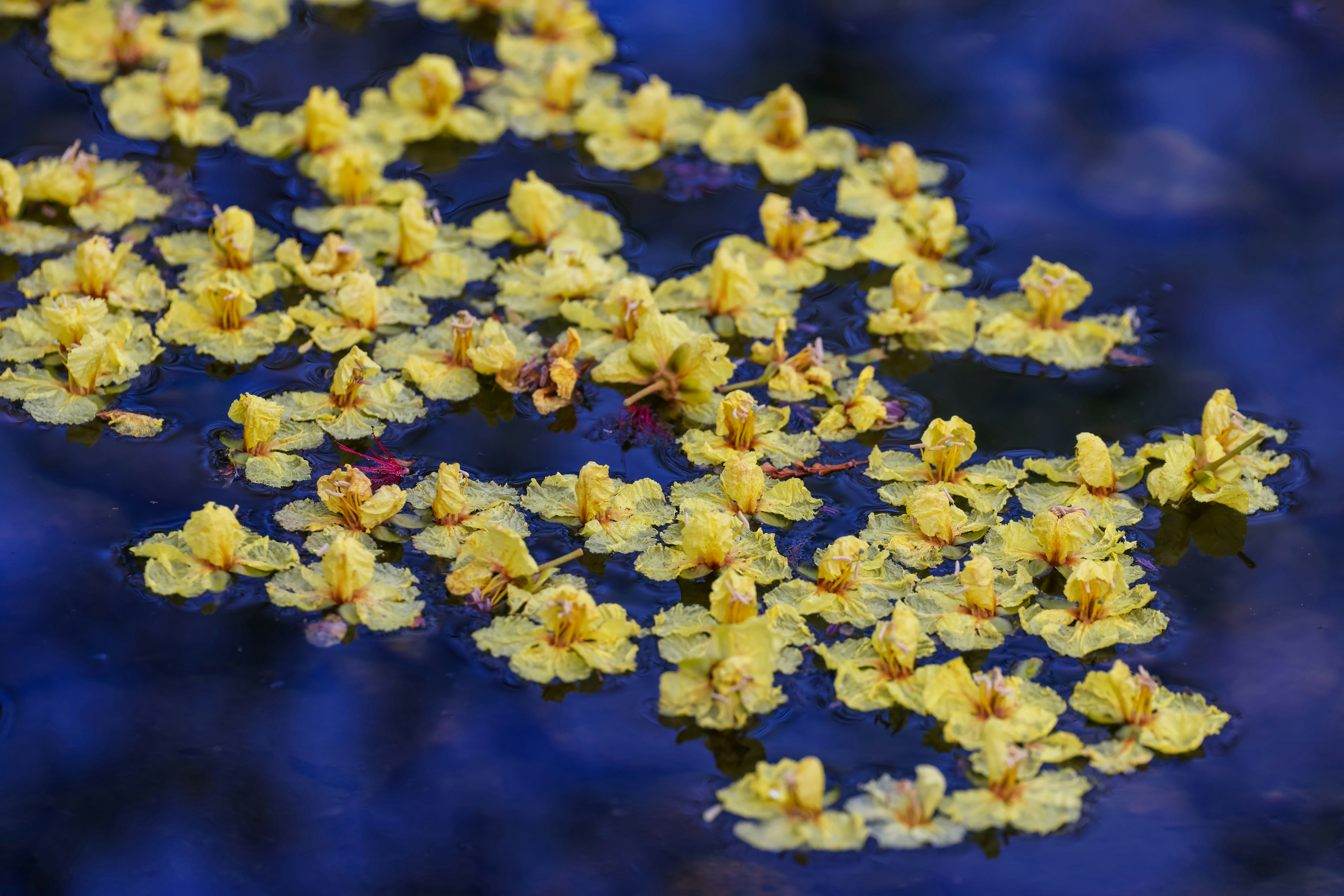 Photo by DL314 Lin with Canon EOS R5