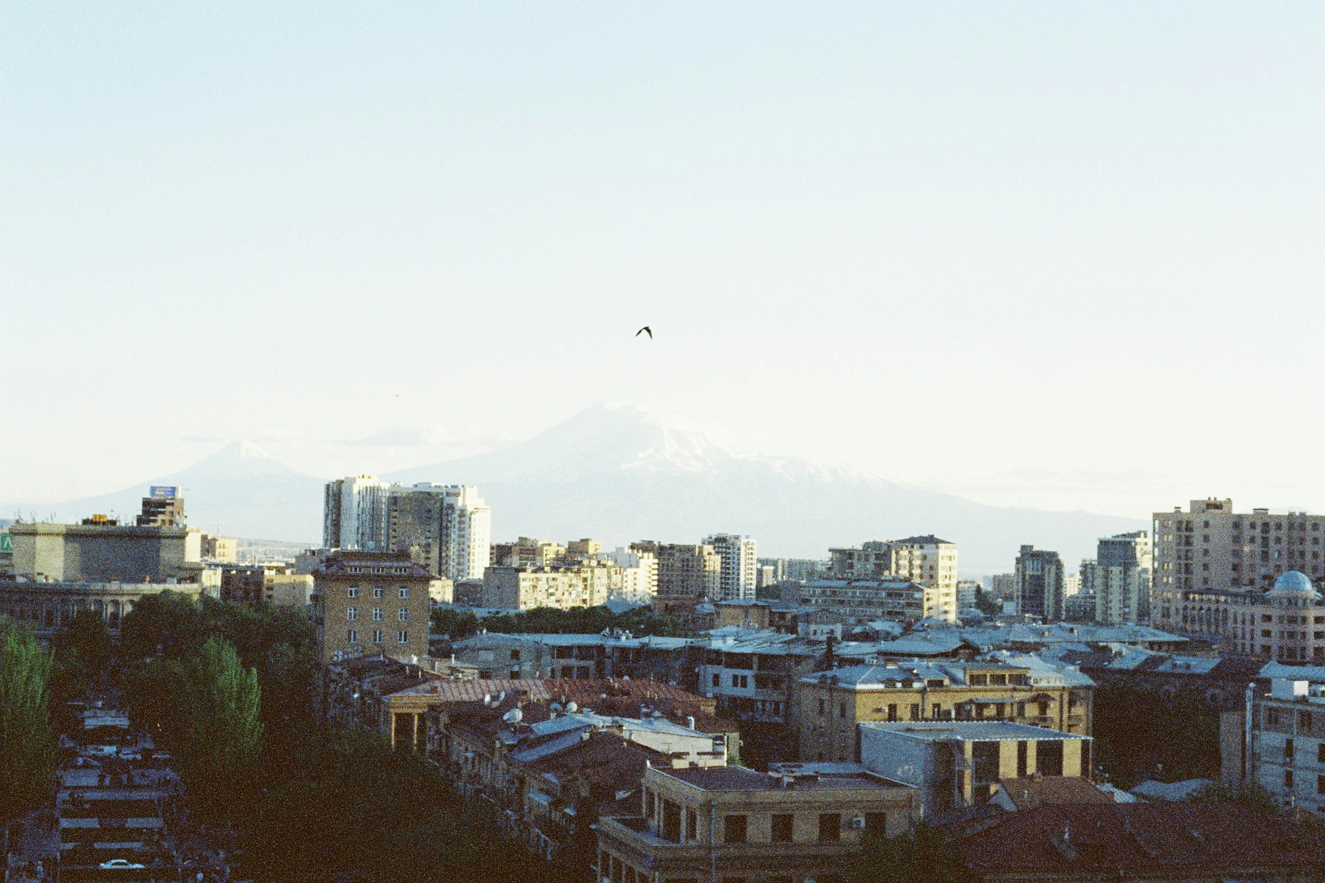 Dawn Glide Over a Waking City Toward Snow-Capped Peaks