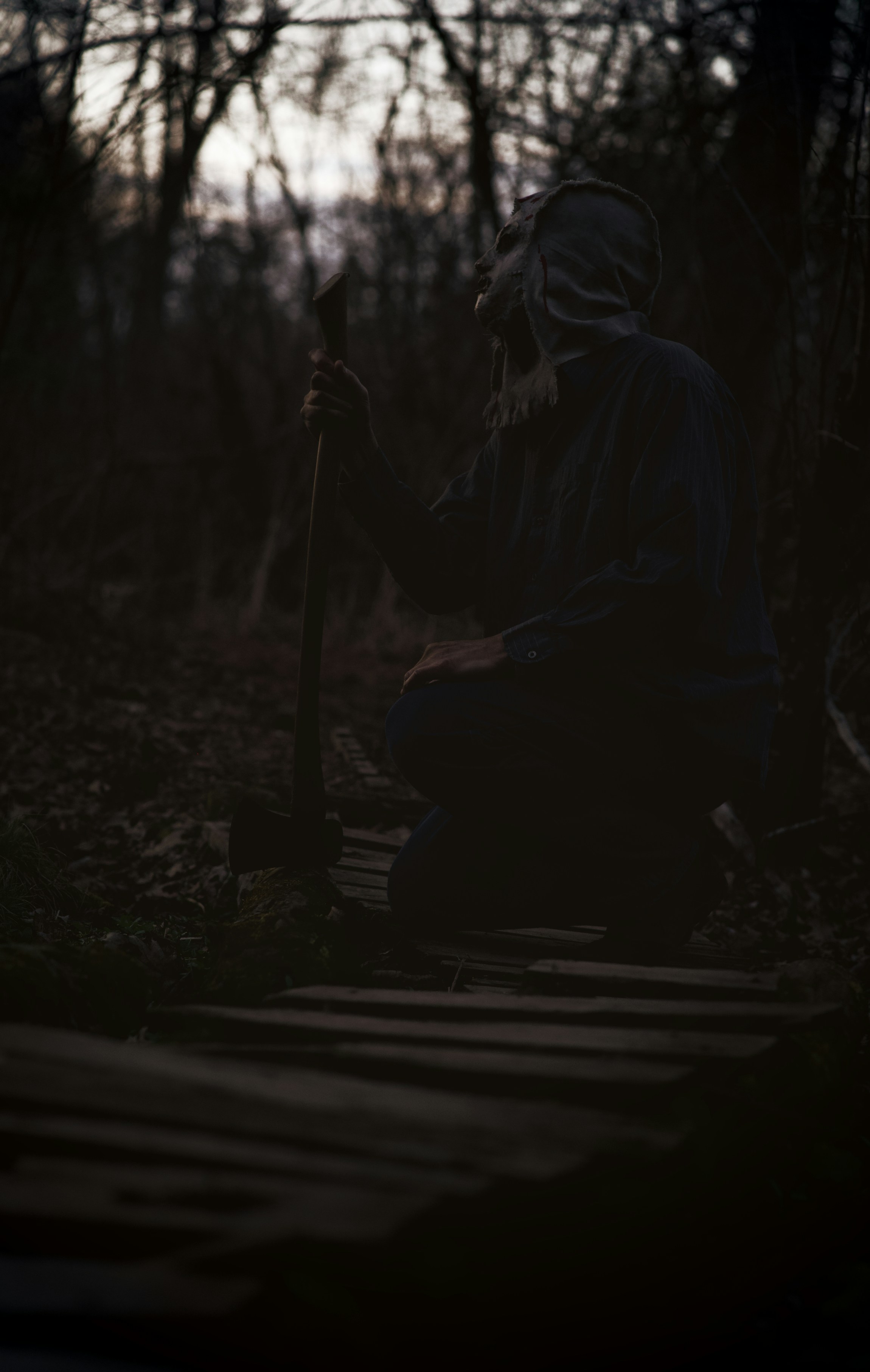 A person sitting on a step in the woods photo – Free Horror Image on ...