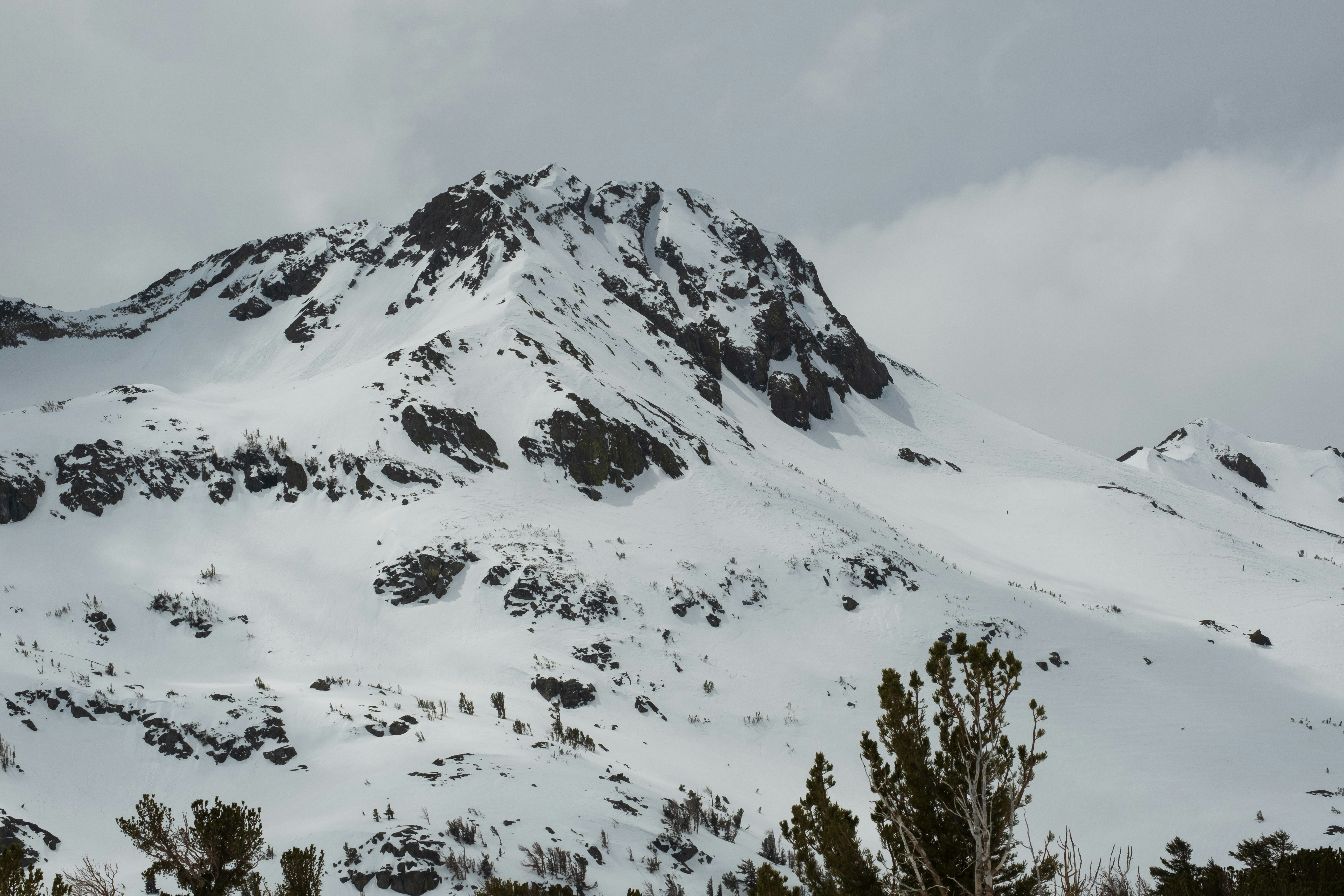 Snow-covered mountain peak under overcast sky, with sparse trees in the foreground.