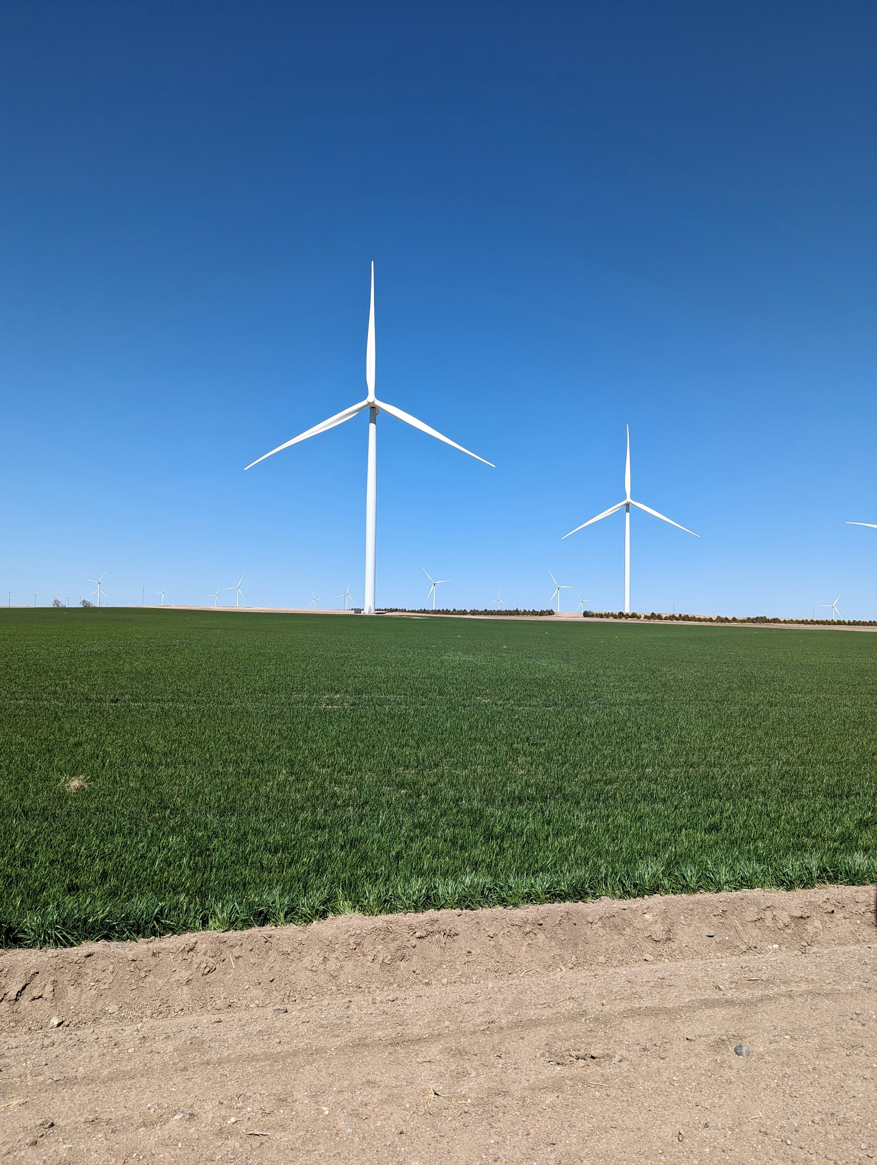Cerulean Sky Over a Row of Wind Turbines