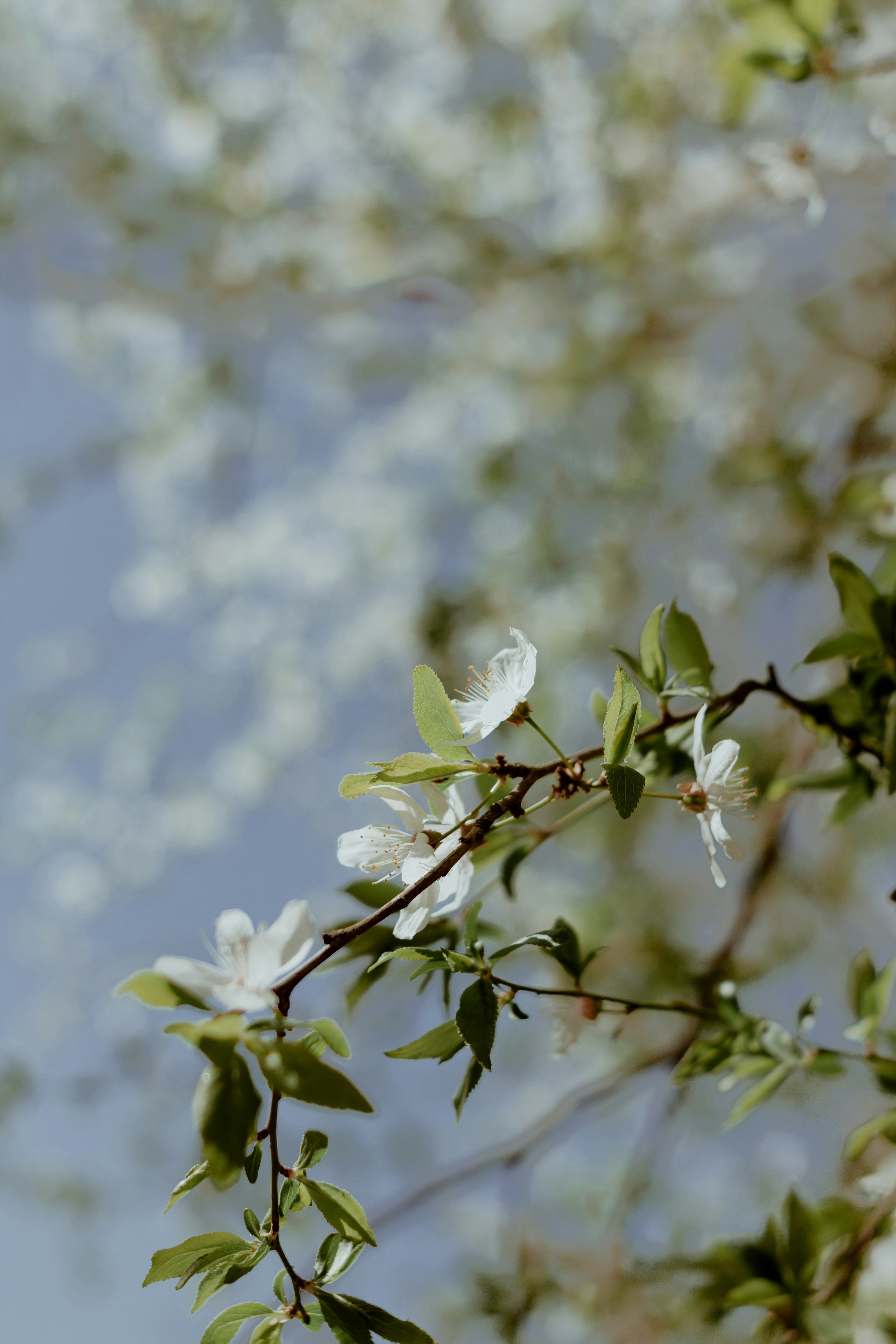 Photo by Svitlana Rusak with Canon EOS 60D