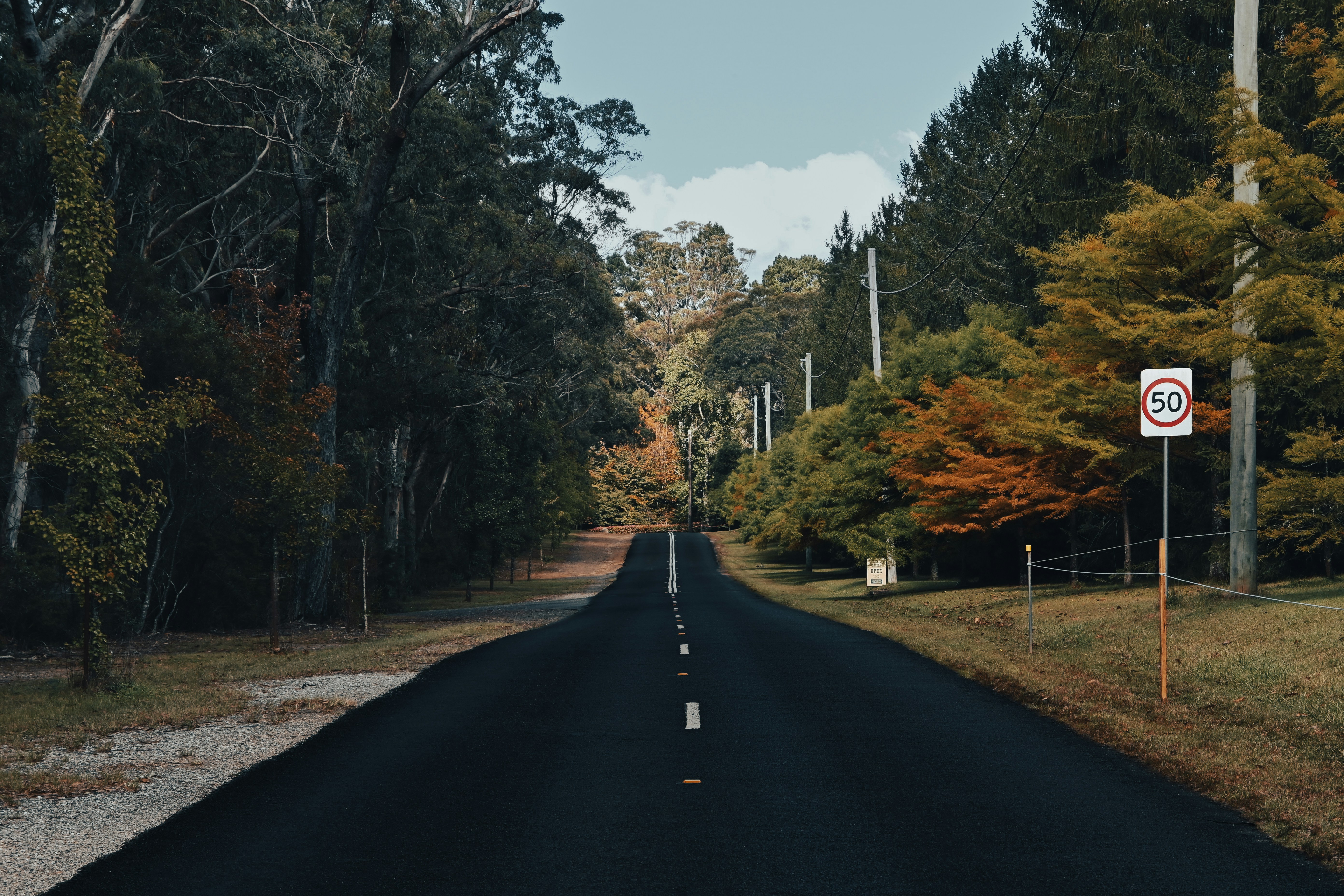 Straight asphalt road recedes into a forest canopy on a clear day, with a 50 sign on the right and autumn foliage along the roadside.