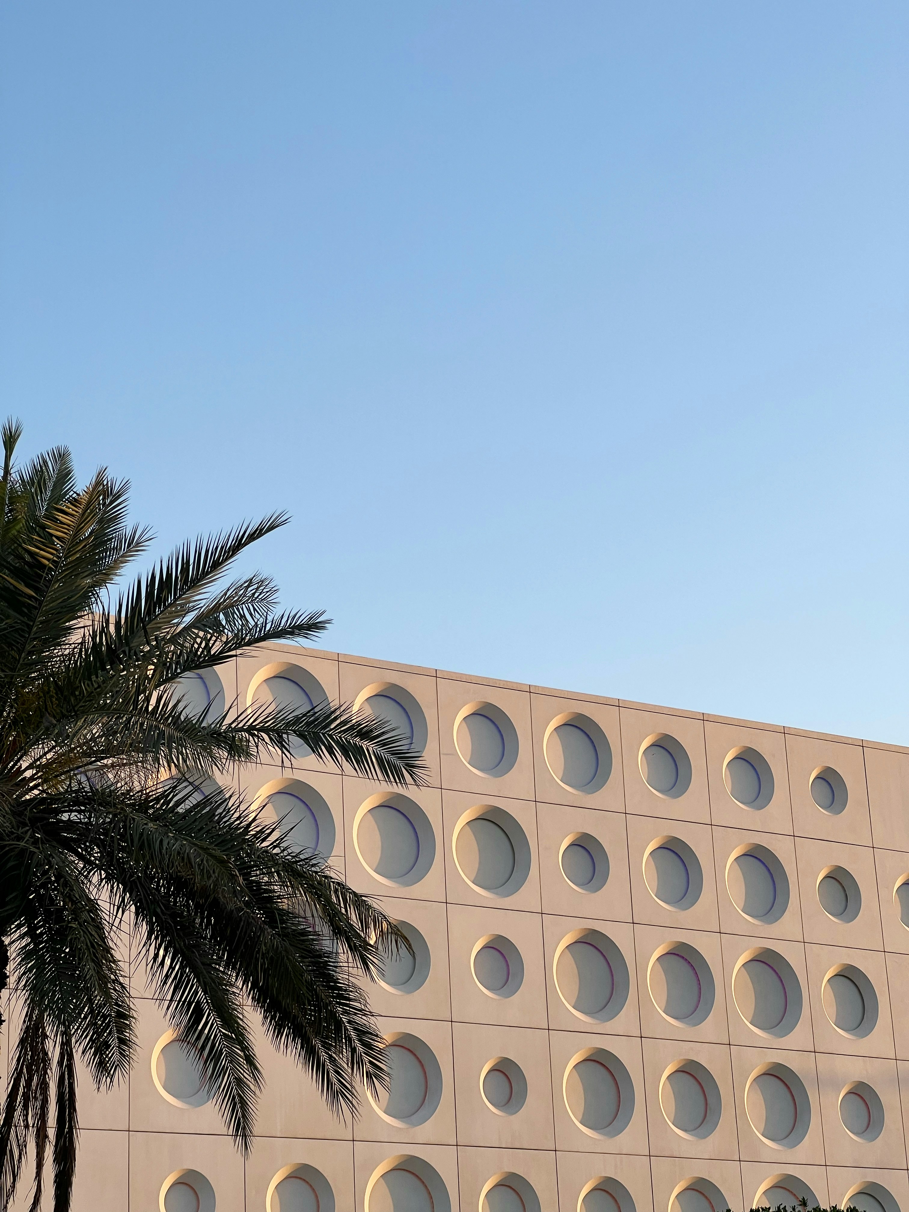 A palm tree is in front of a building photo – Free Kuwait Image on Unsplash