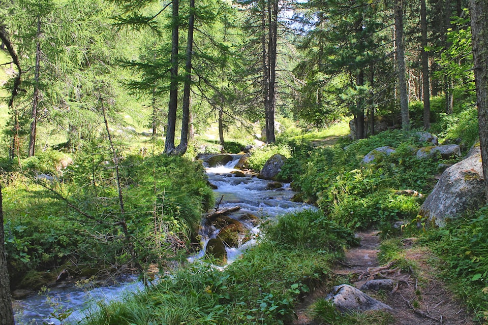 Durango, Colorado Creeks | Blogs Durango, Colorado Creeks | Blogs