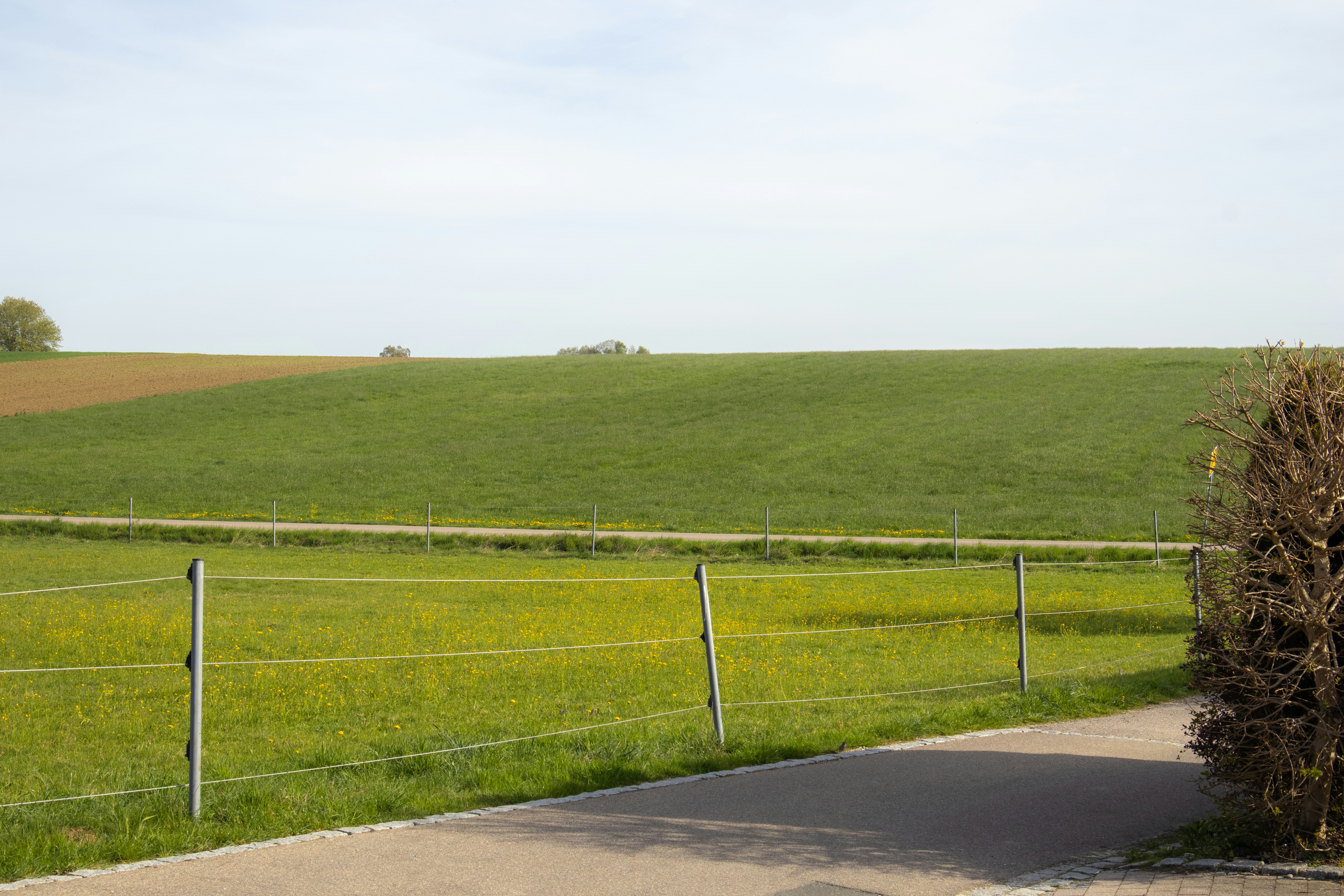 A fenced in area with a green field in the background photo – Free ...