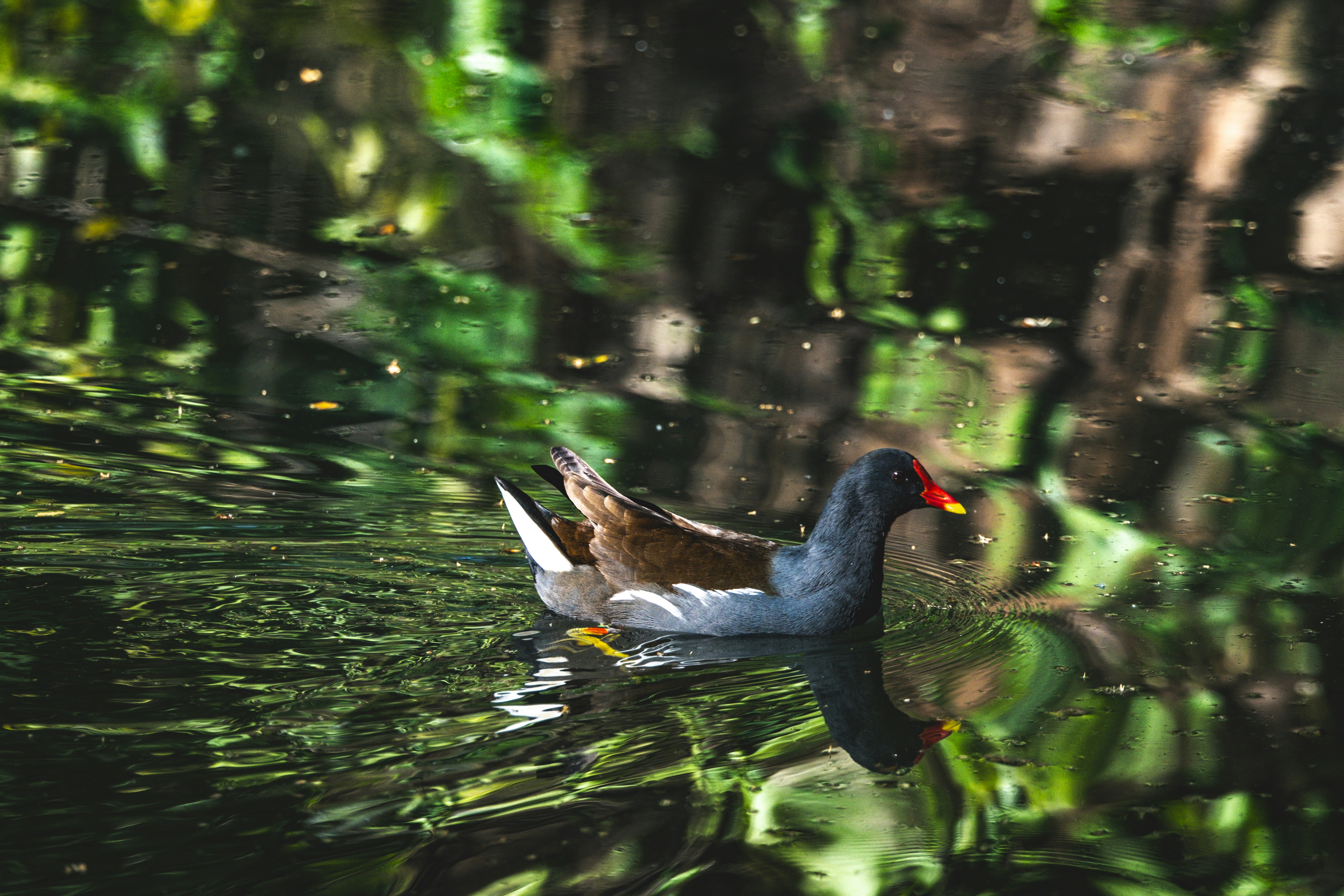 Photo by Francesco Ungaro with Fujifilm X-T4