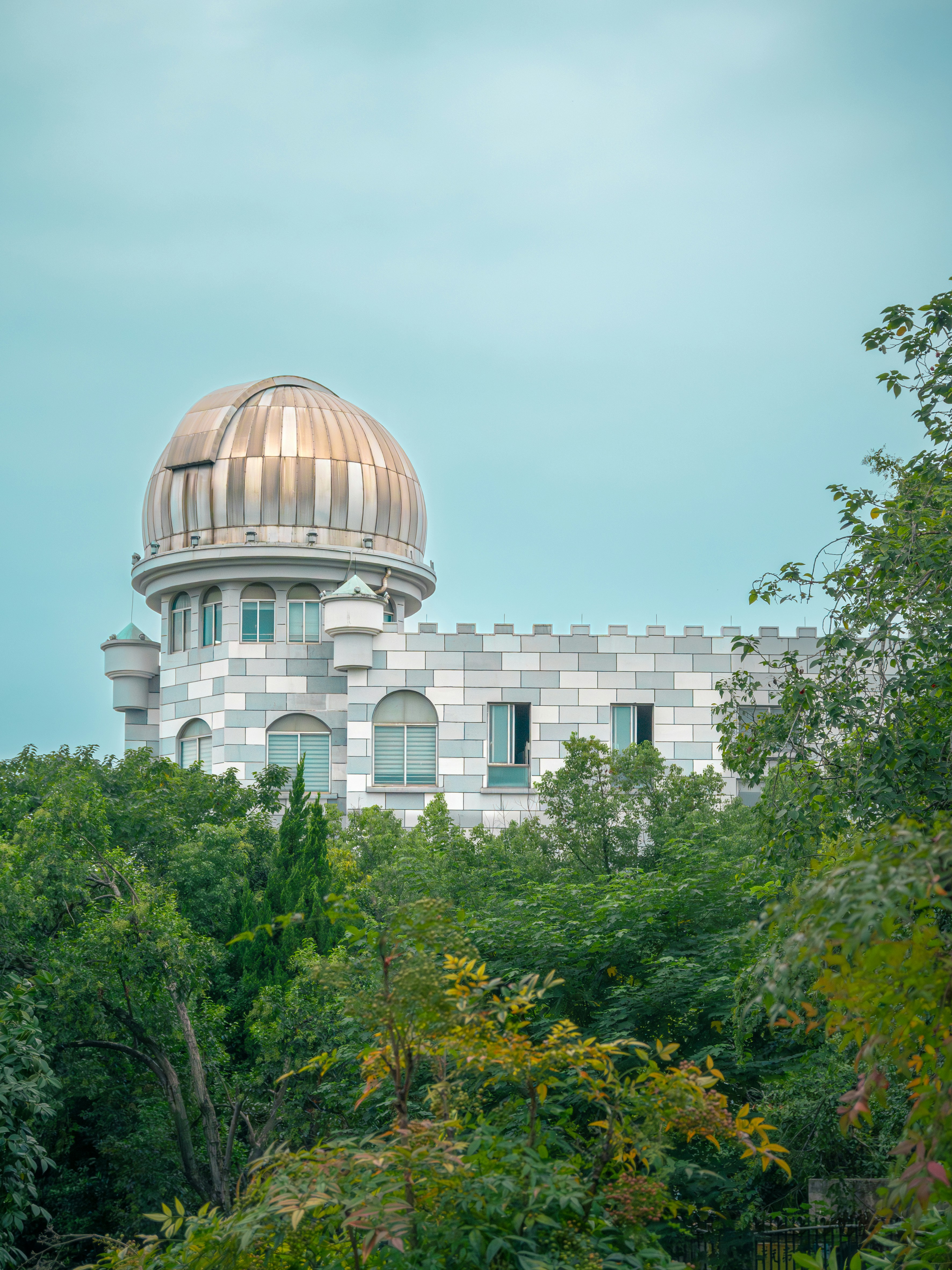 Observatory Dome Rising Above Verdant Canopy
