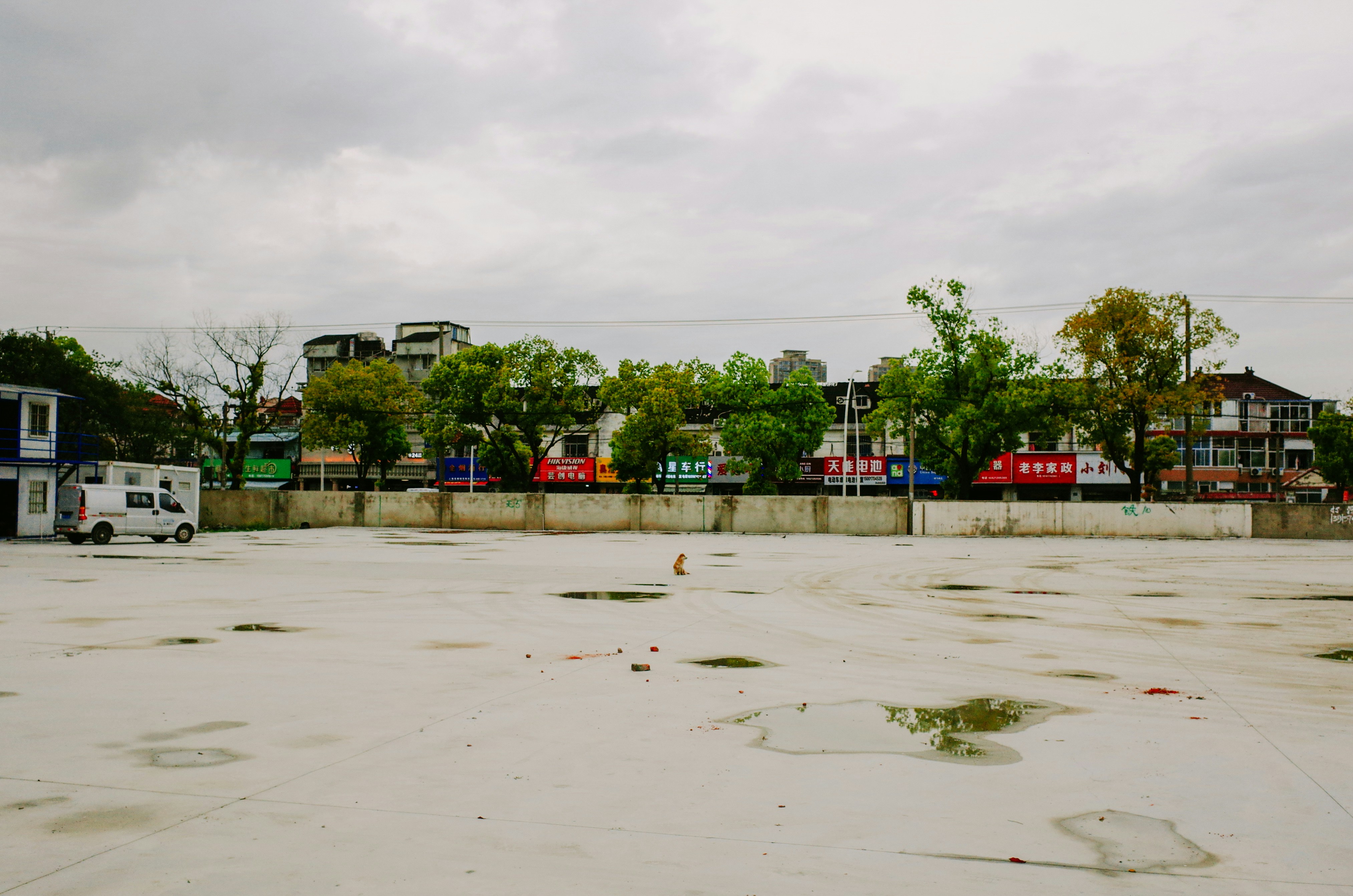 Lone Bird on a Quiet Concrete Plaza Beneath Grey Skies