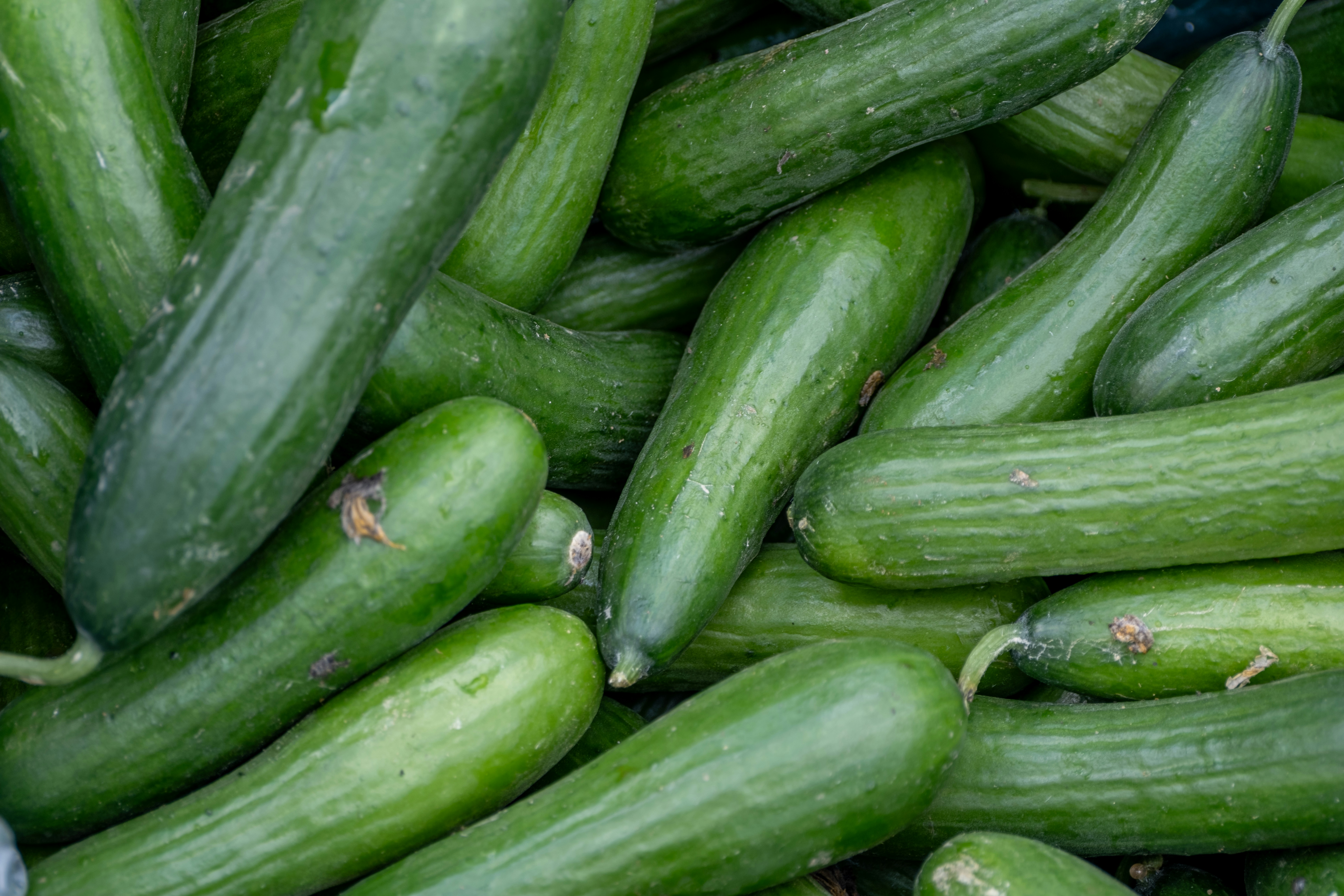 A pile of cucumbers sitting next to each other photo – Free Salatalık ...