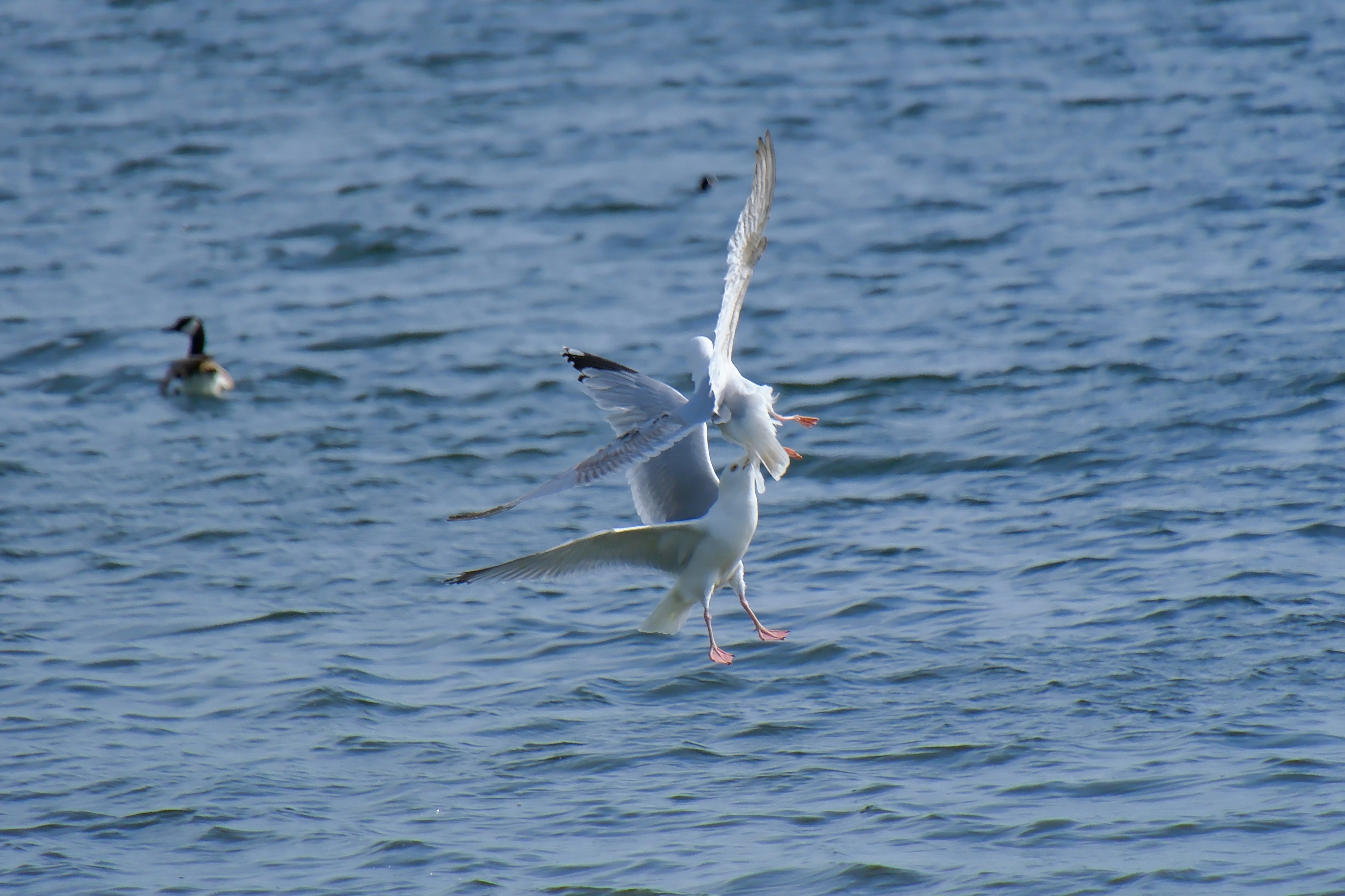 Photo by Zizhou Shi with Fujifilm X-H2S