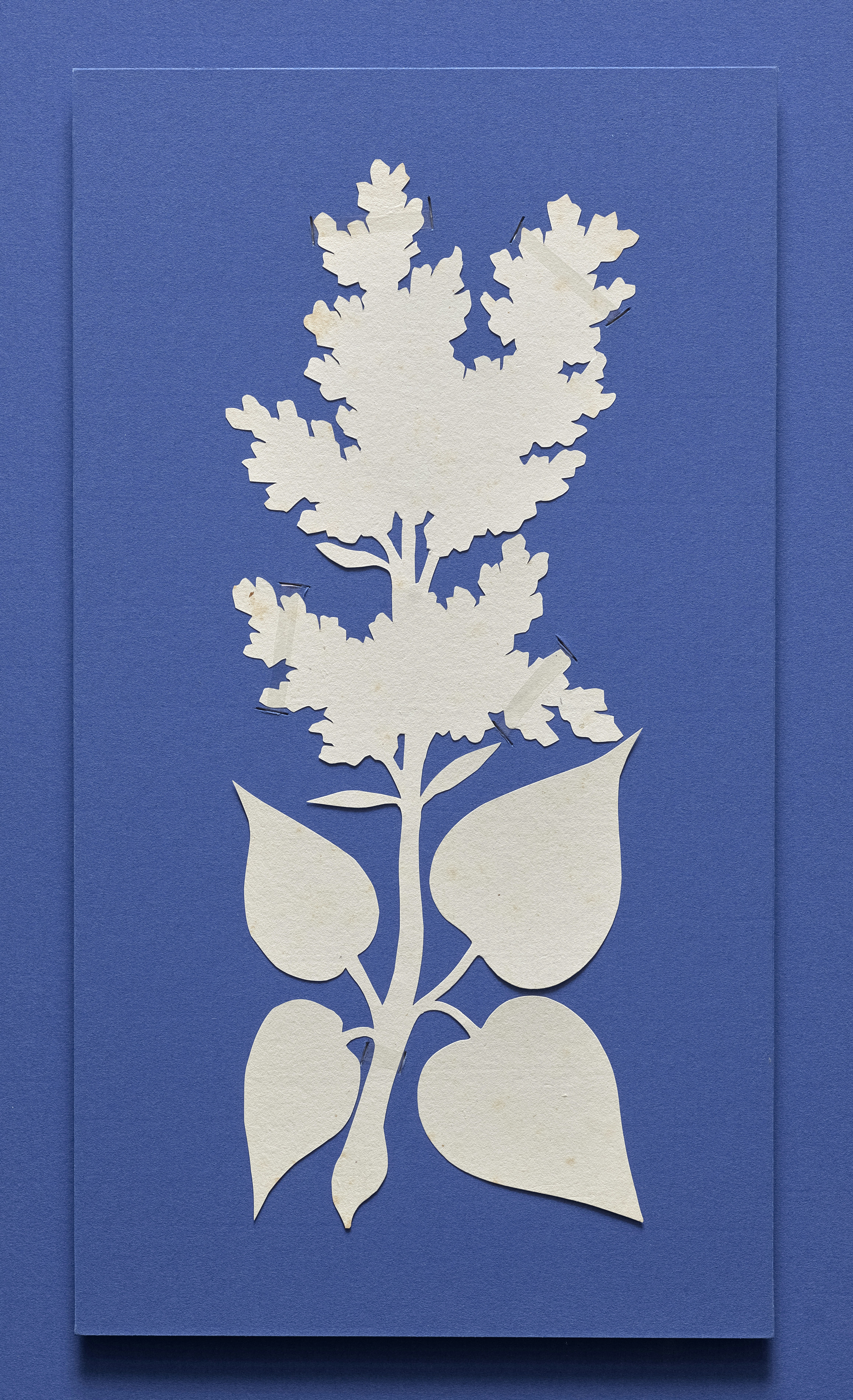 Intricate paper cutout of a floral design against a vibrant blue background, showcasing the delicate details of leaves and petals.