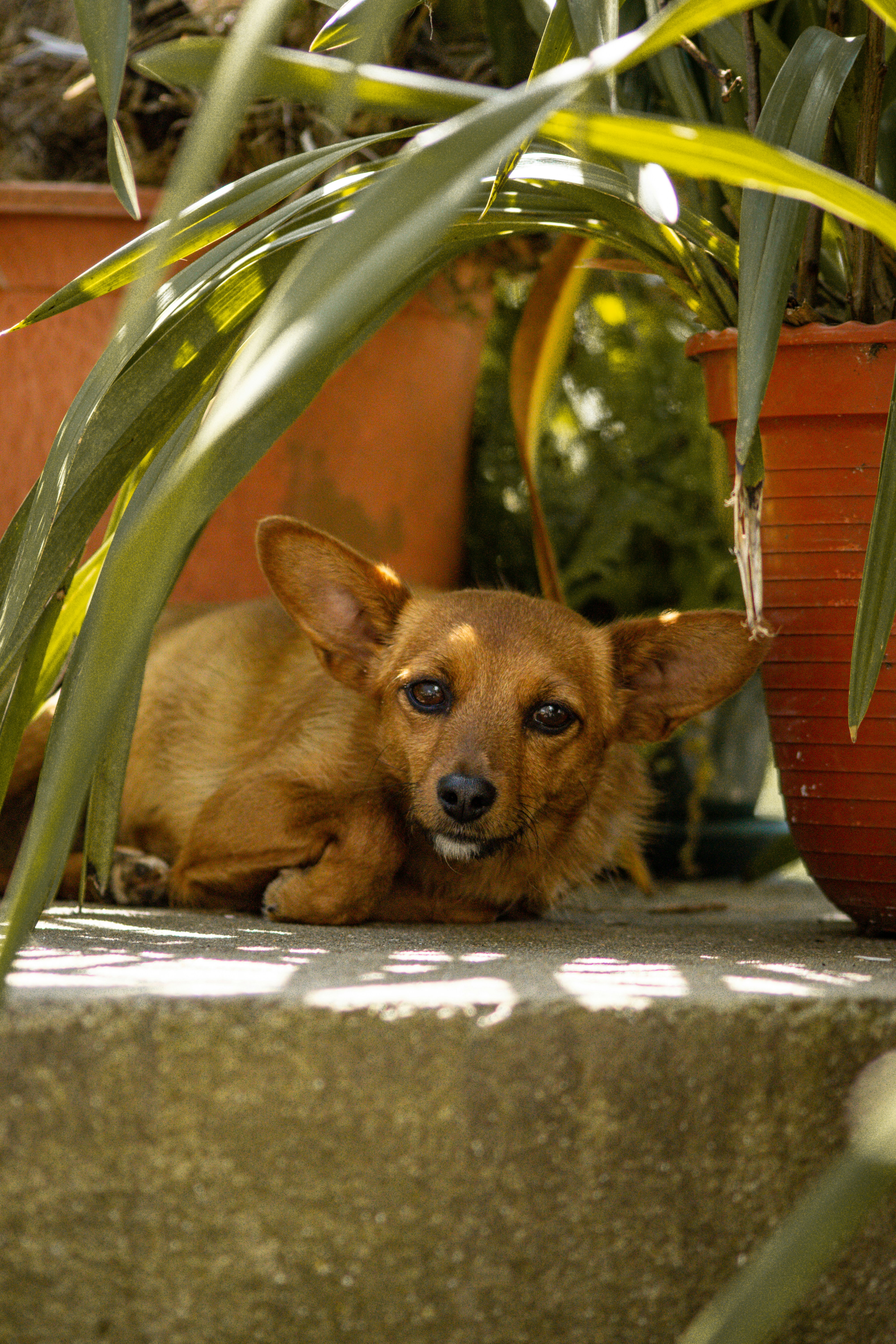 Photo by Diogo Cardoso with Sony Alpha 6000