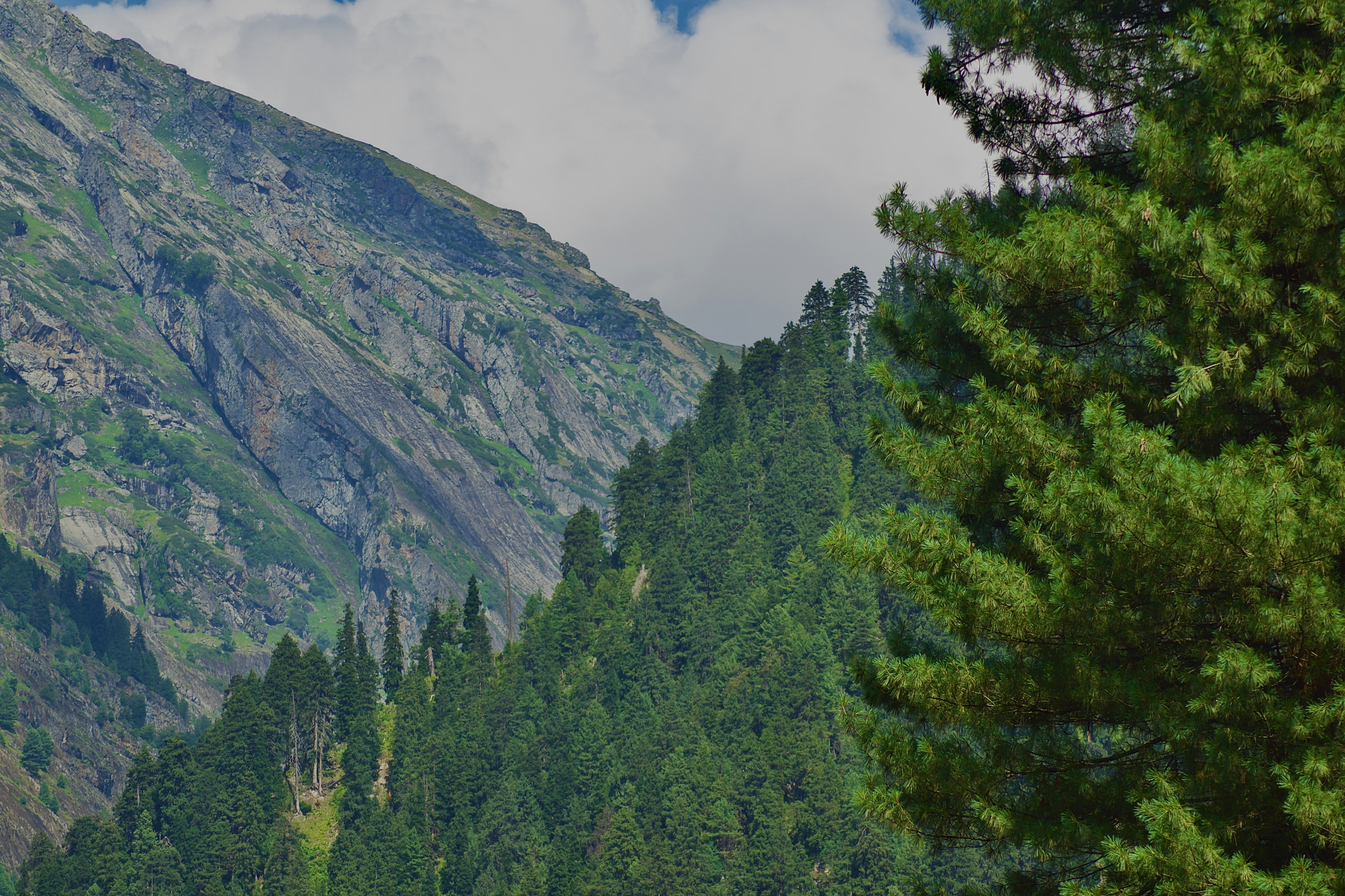 Imagine a majestic mountain peak piercing the sky, its snow-capped summit glowing in the soft light of dawn or dusk. Below, a blanket of verdant forests cascades down its slopes, interspersed with rocky outcrops and alpine lakes. The vast expanse of the landscape conveys a sense of awe and tranquility, inviting viewers to immerse themselves in the beauty of nature's grandeur.