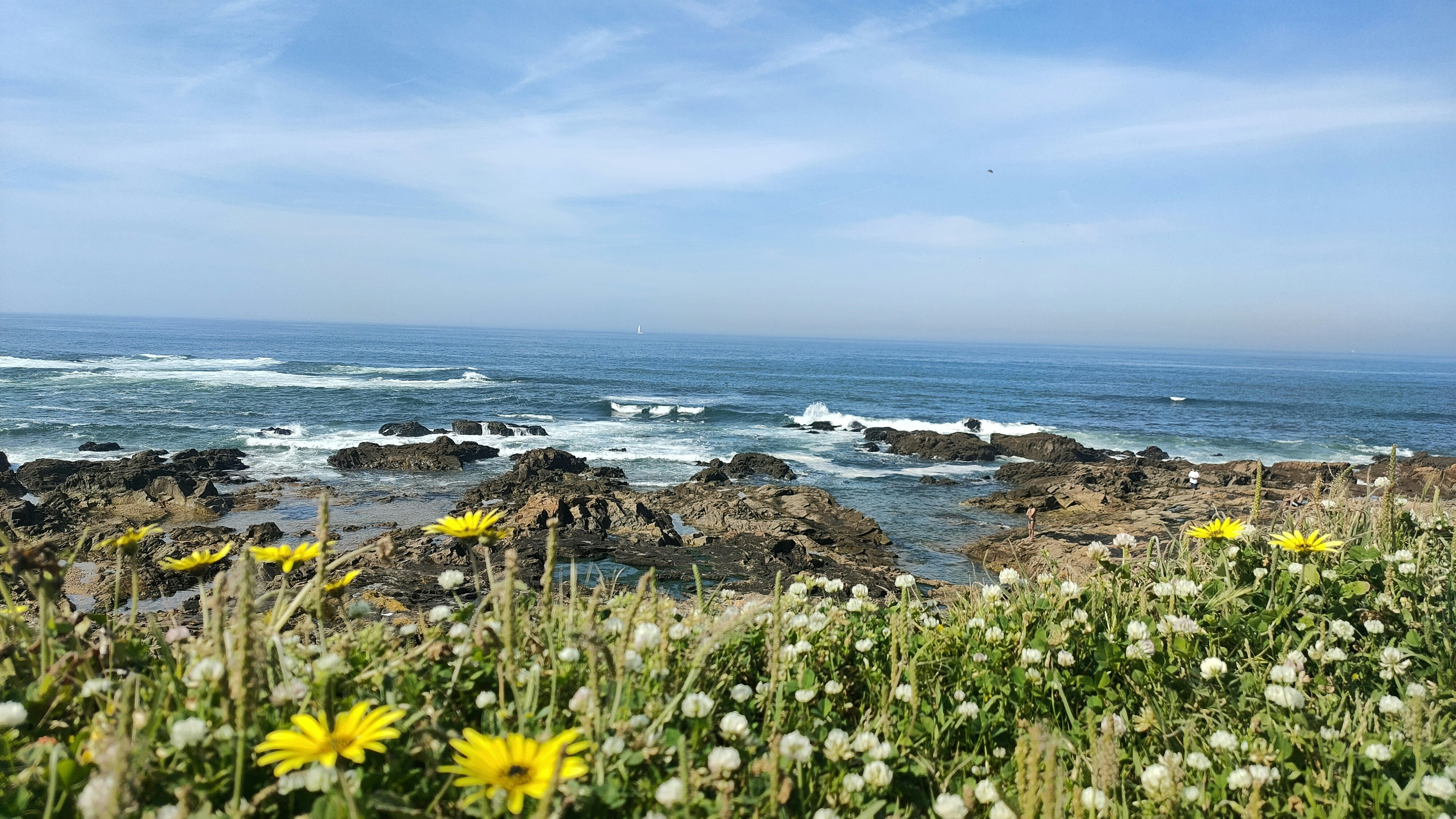 Bright yellow wildflowers and small white blossoms fill the foreground, framing a rocky shoreline. A calm blue sea stretches to the horizon beneath a clear sky.