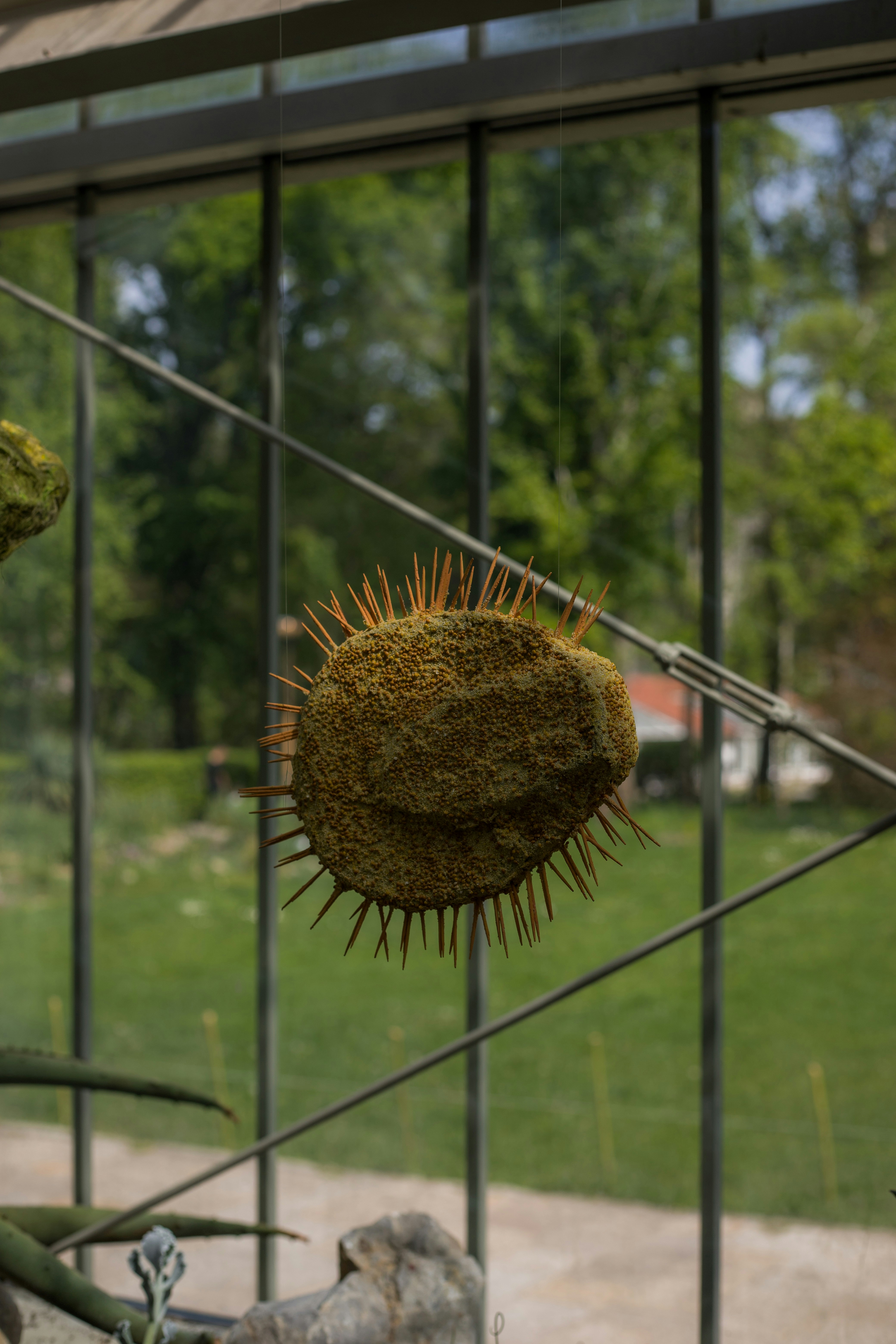 Spiky Seed Pod on a Tilting Wire Trellis