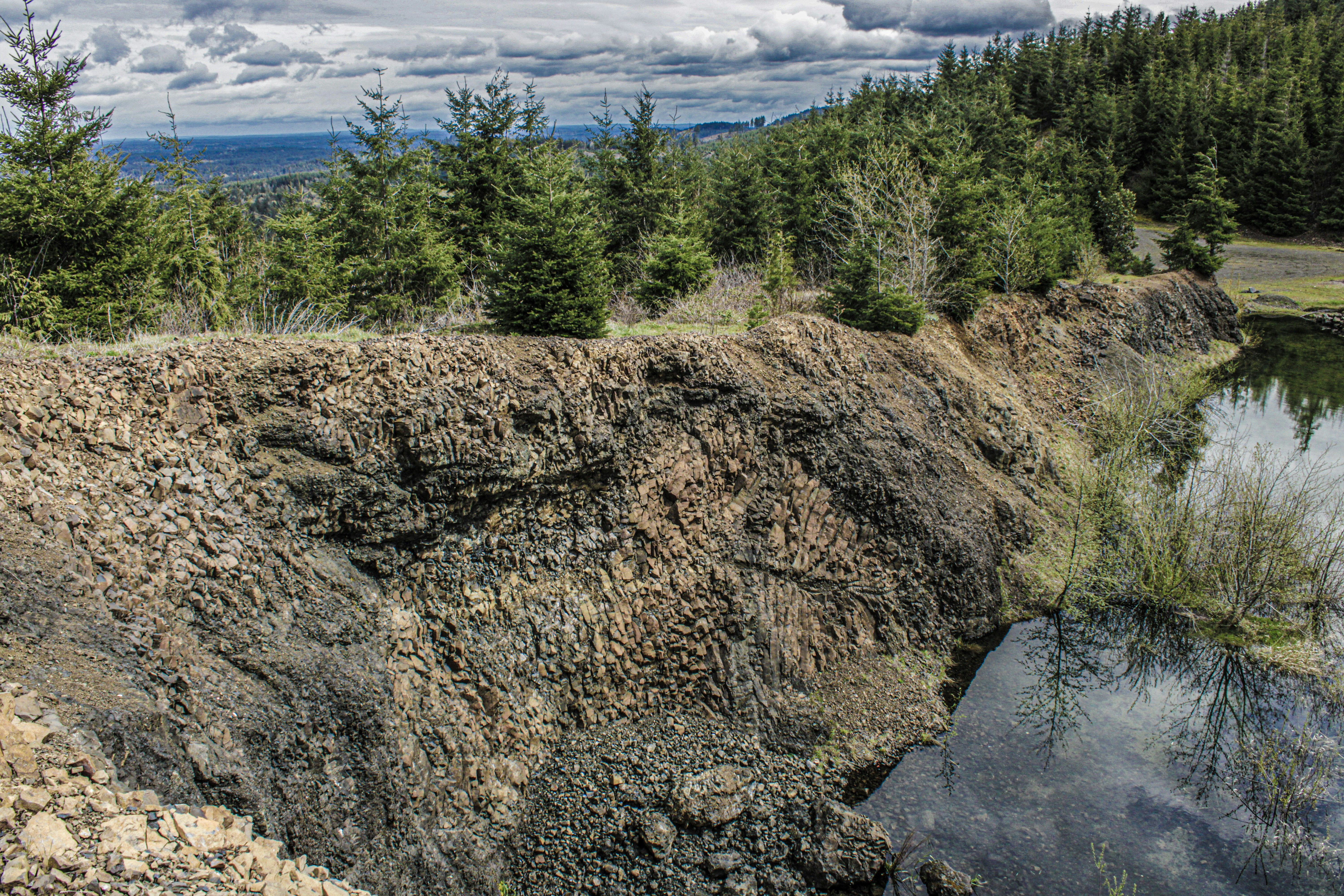 Edge of the Forest: A Rugged Divide