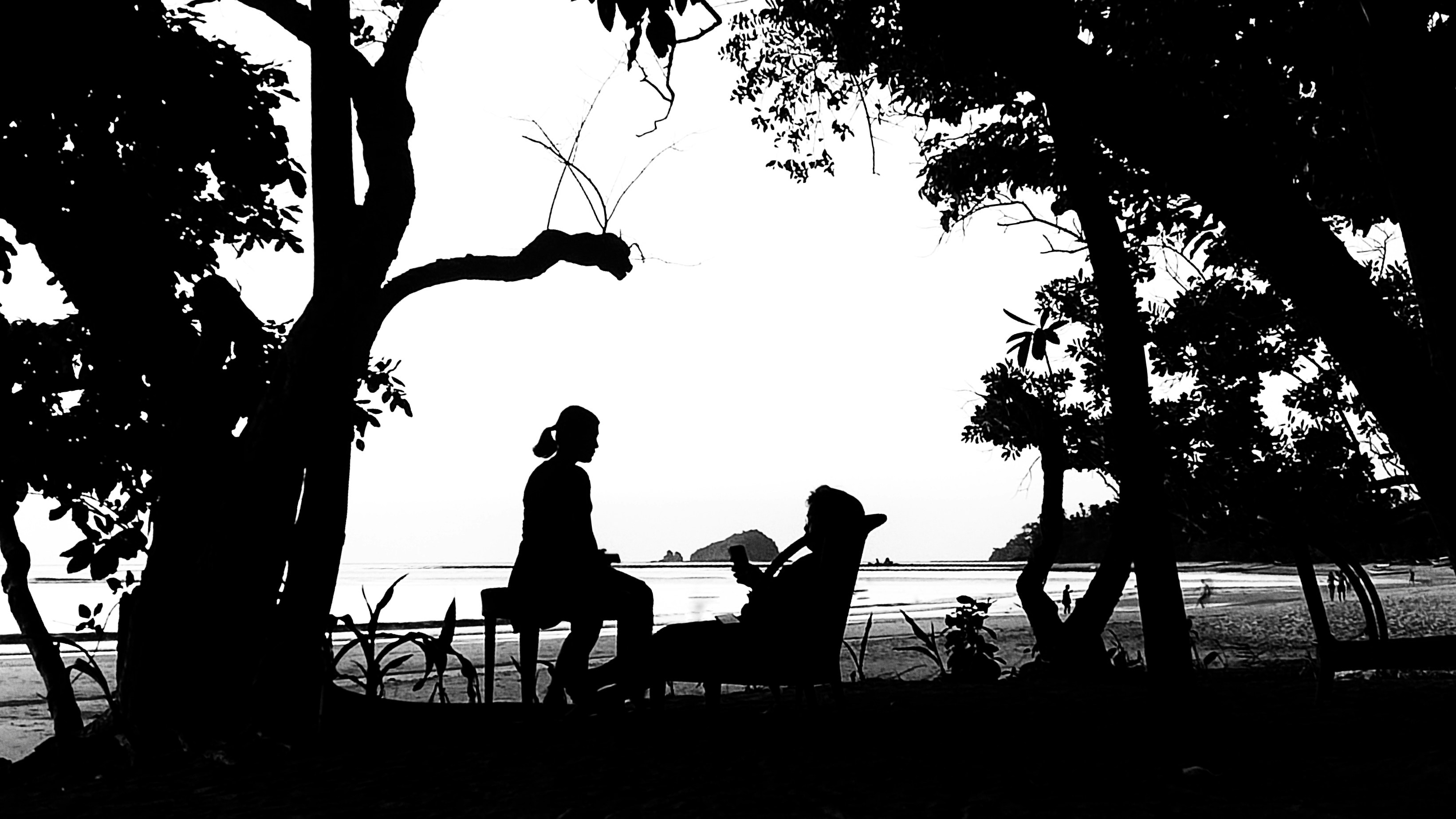 Silhouettes of two individuals sharing a quiet moment under the trees, with a tranquil beach scene in the background.