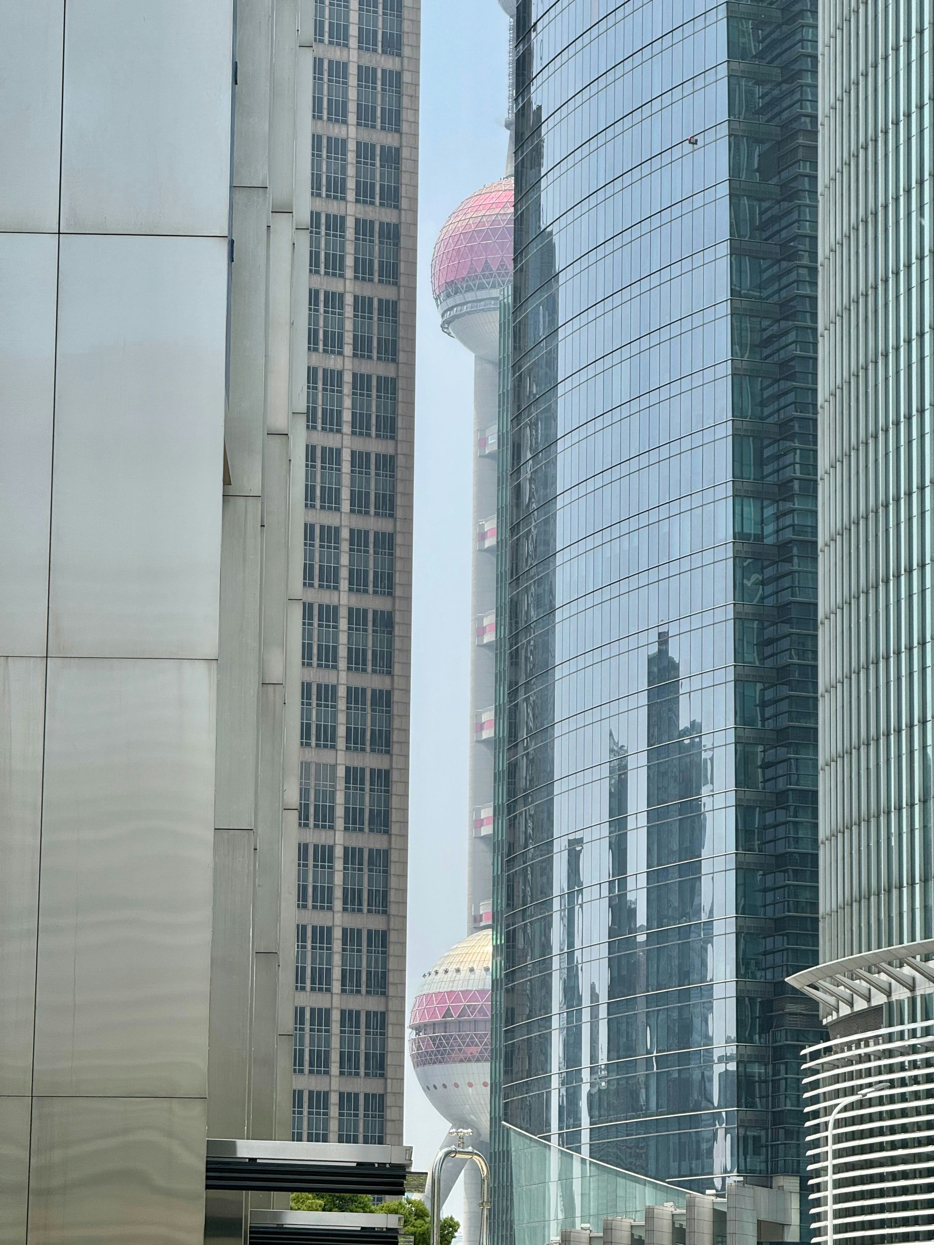 A view of some very tall buildings in a city photo – Free Grey Image on ...