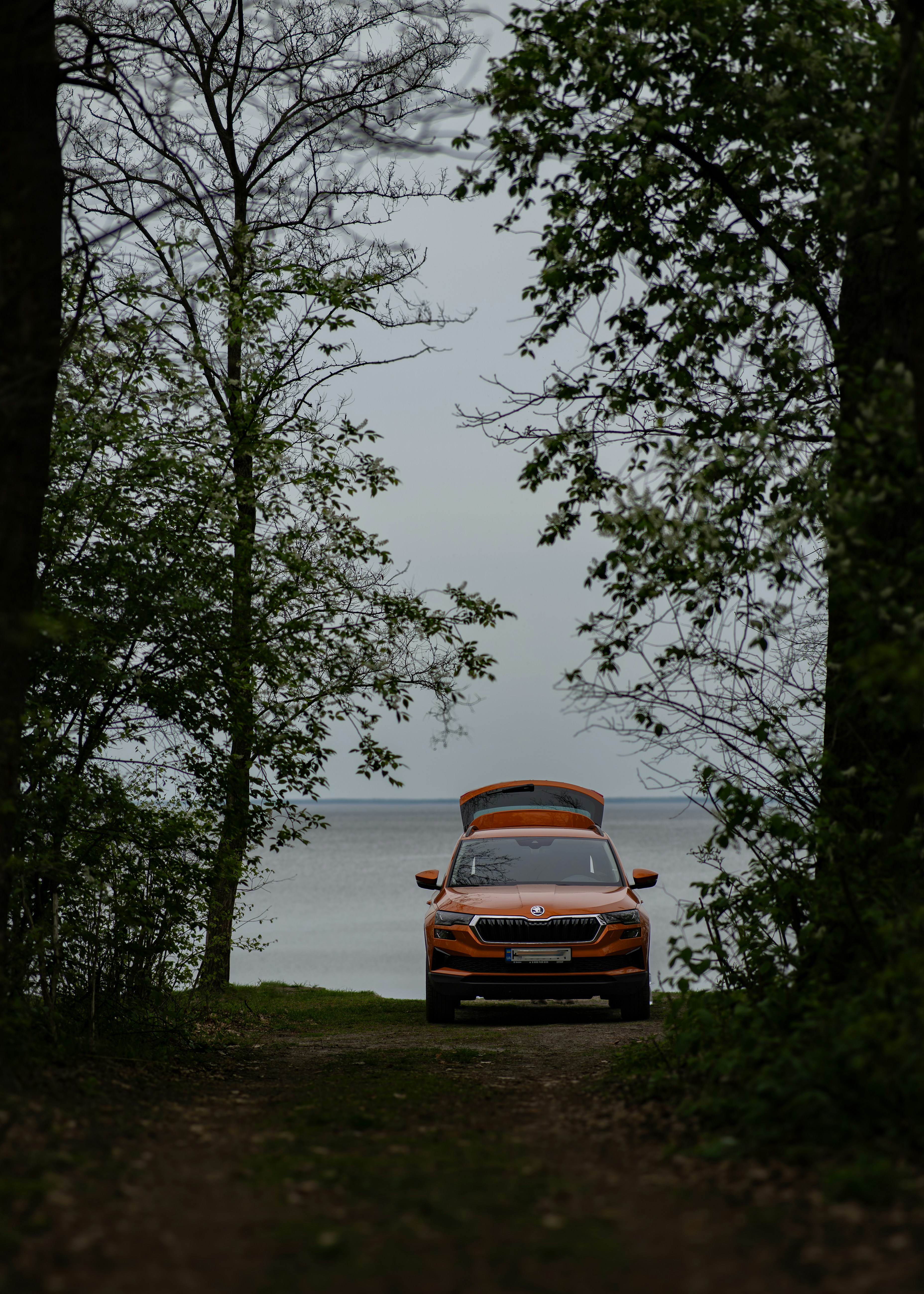 Gateway to the Lake: An Orange SUV Framed by a Tree Corridor