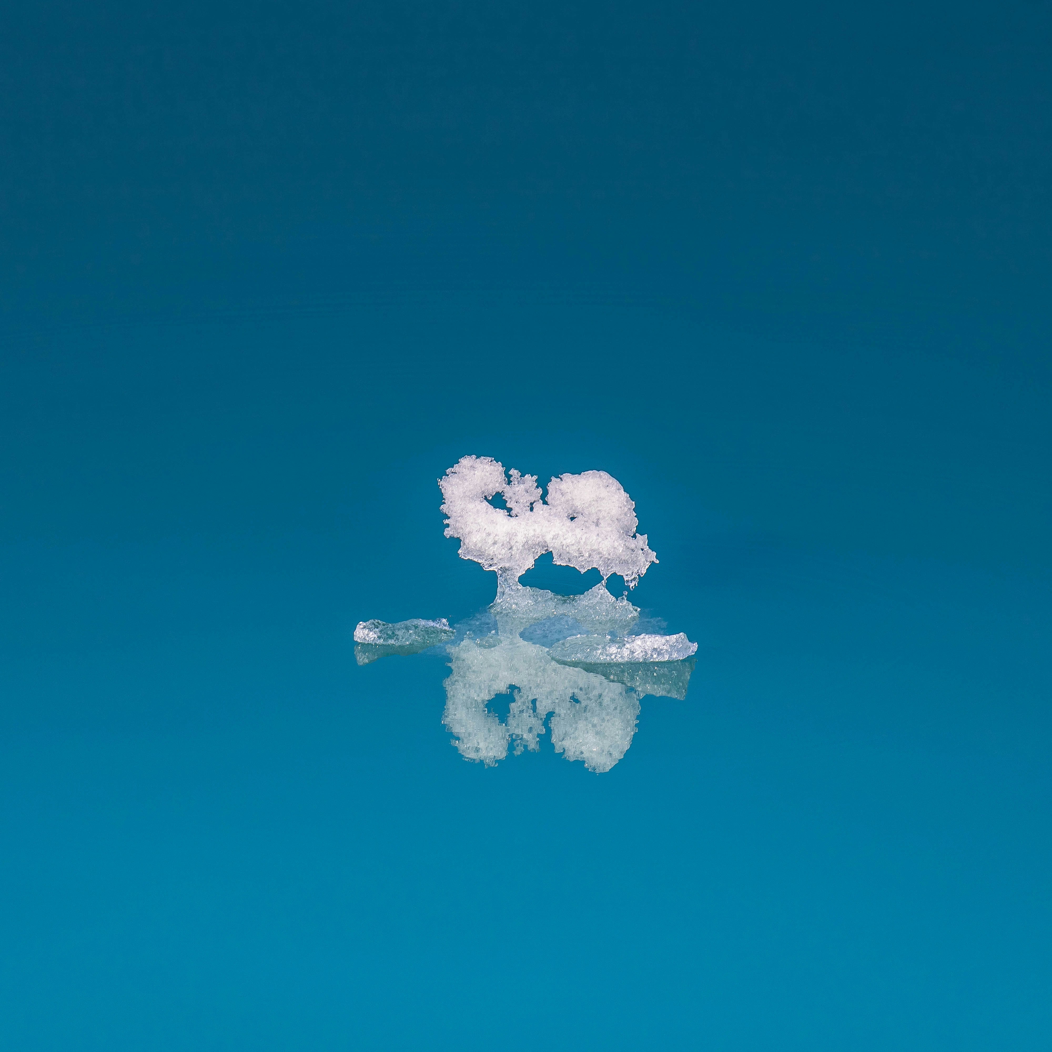 Solitary Ice Bloom and Its Cyan Mirror
