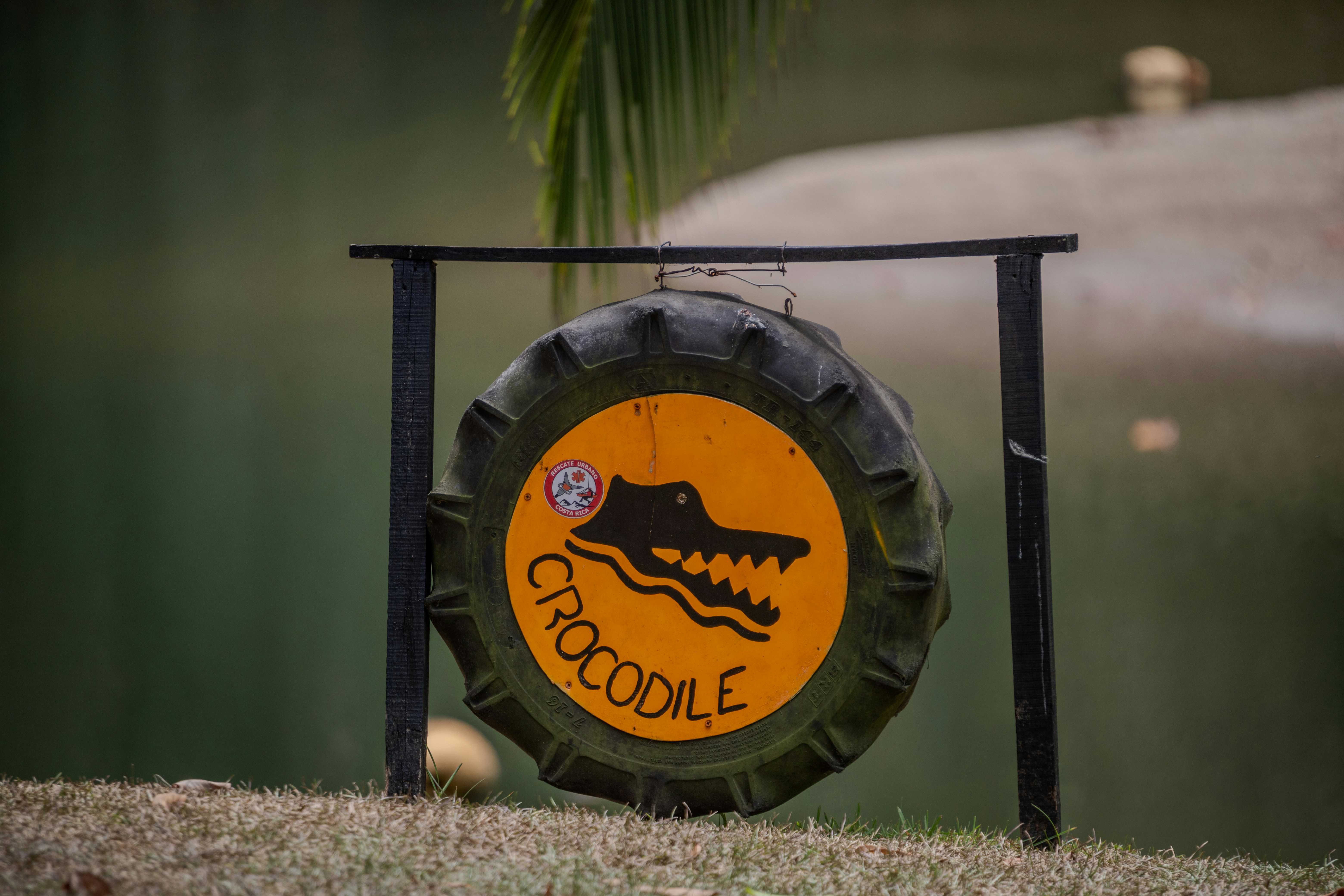 Crocodile Warning on a Tire Sign by the Water's Edge