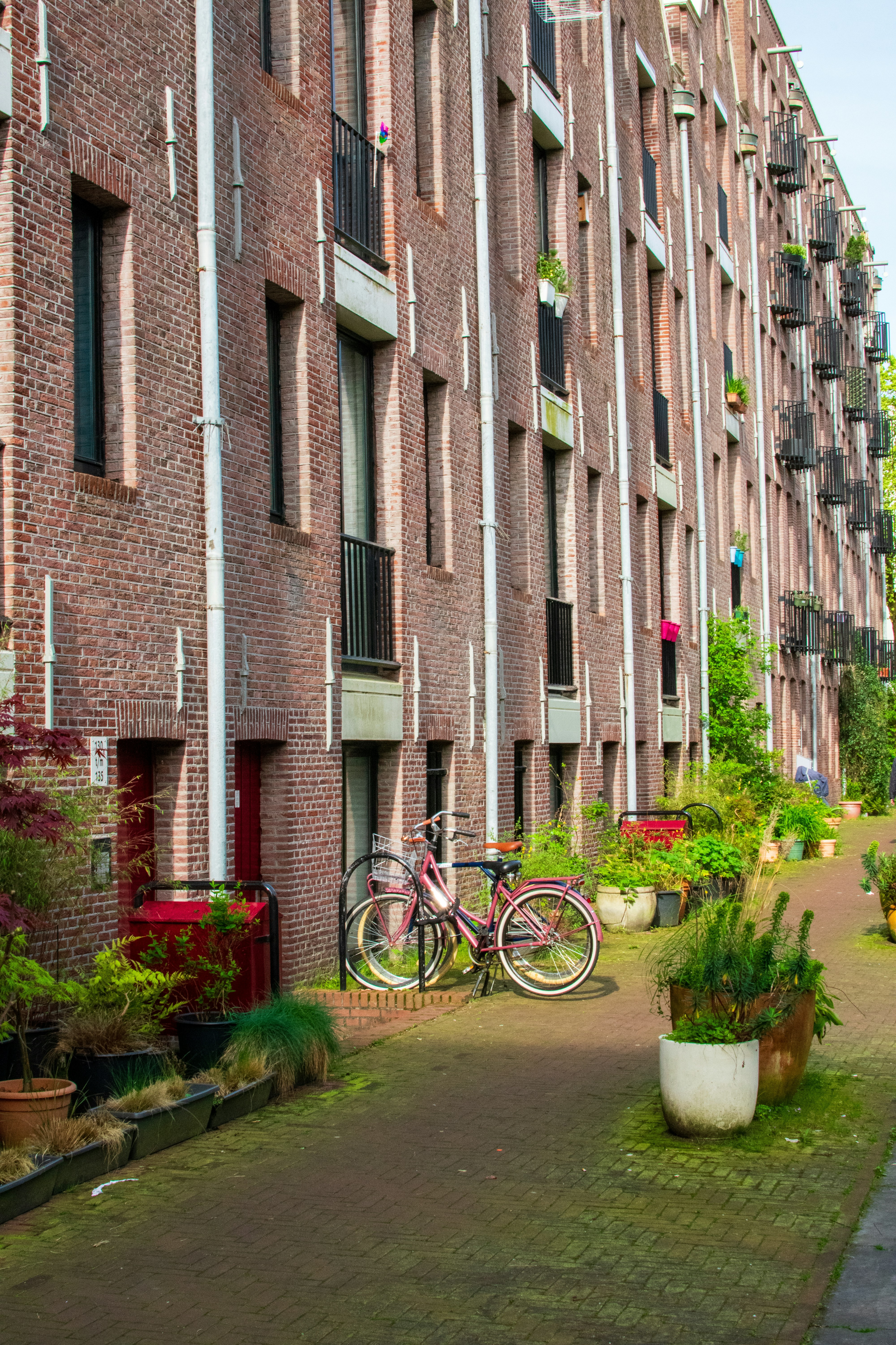 Bikes by the Brick Walkway: An Urban Courtyard Portrait