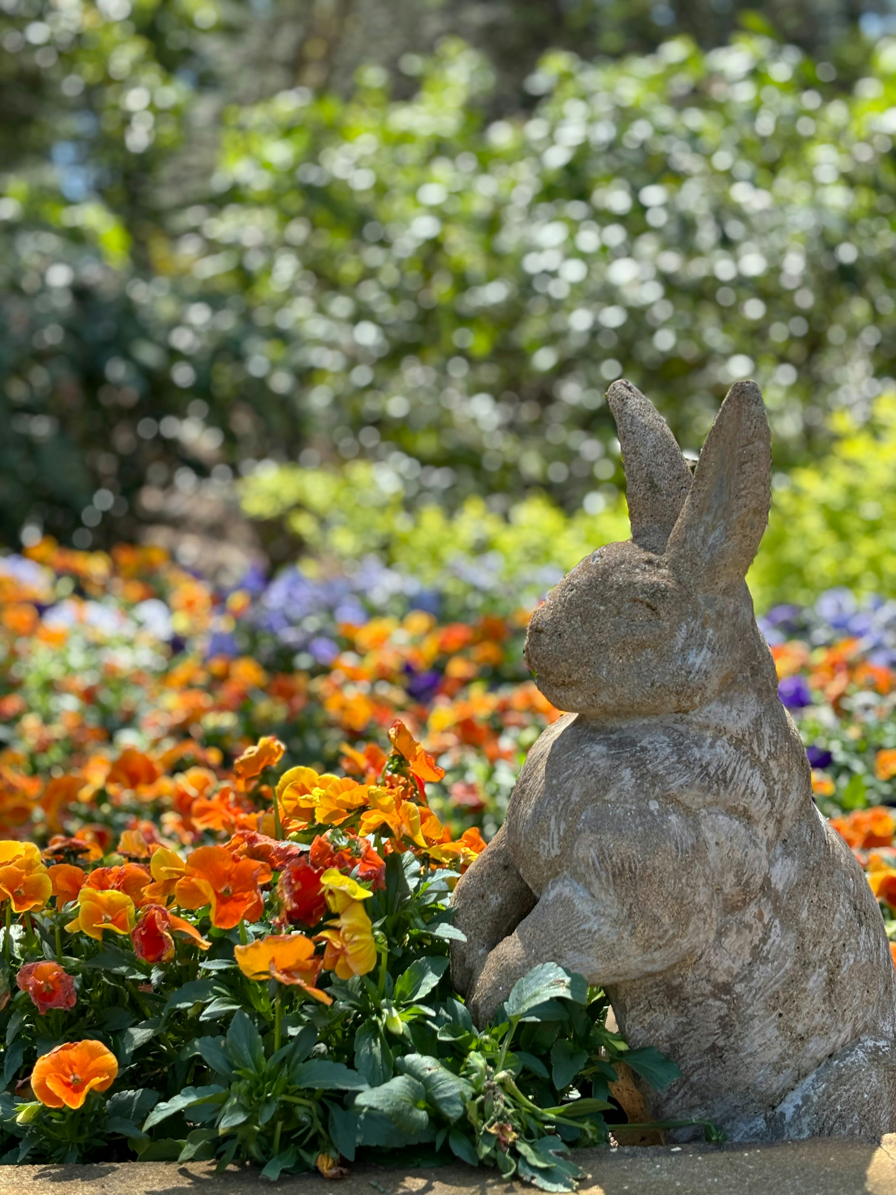 Stone Rabbit Guarding a Patch of Sunrise Pansies in a Sunlit Garden