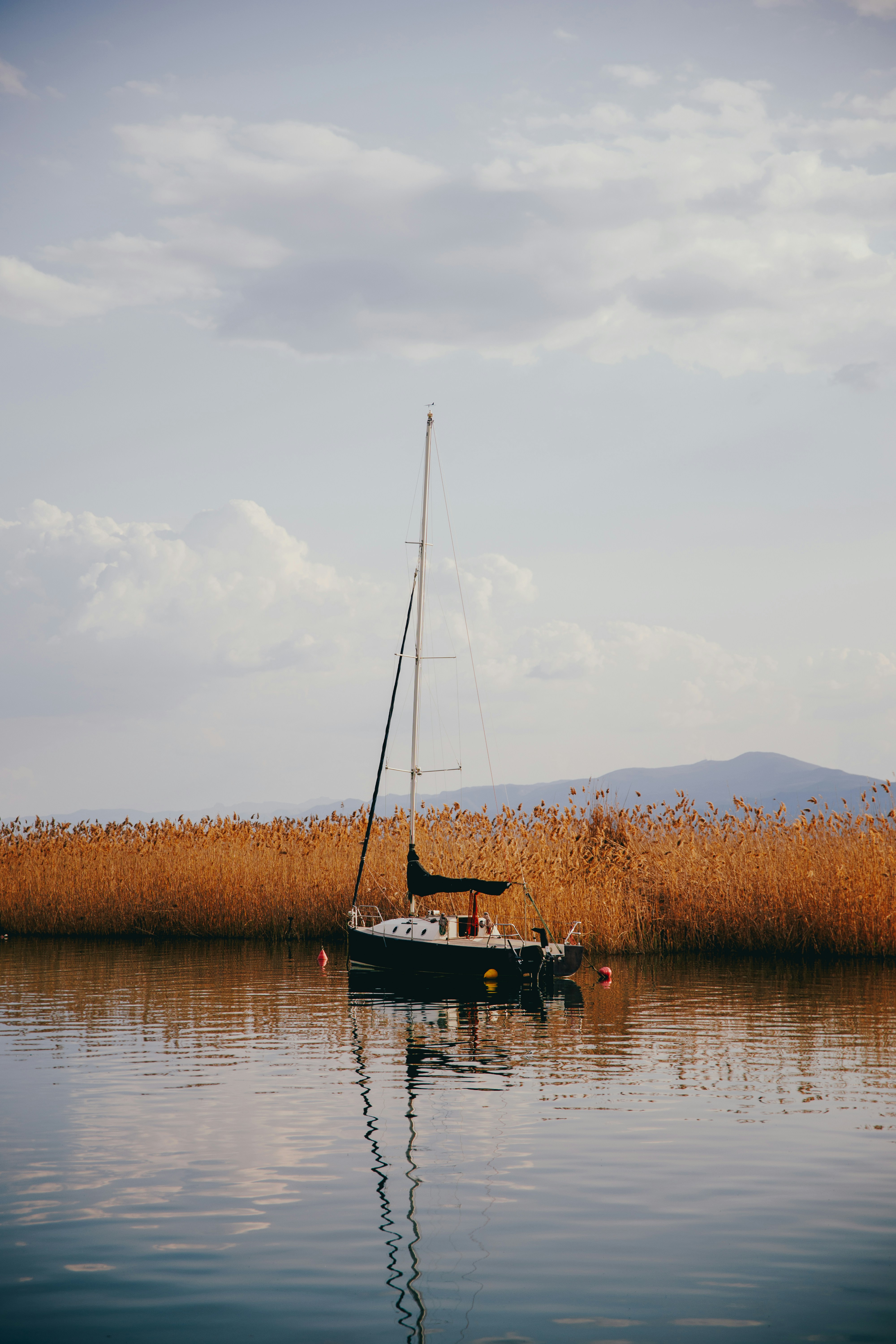 A sailboat floating on top of a body of water photo – Free Vehicle ...