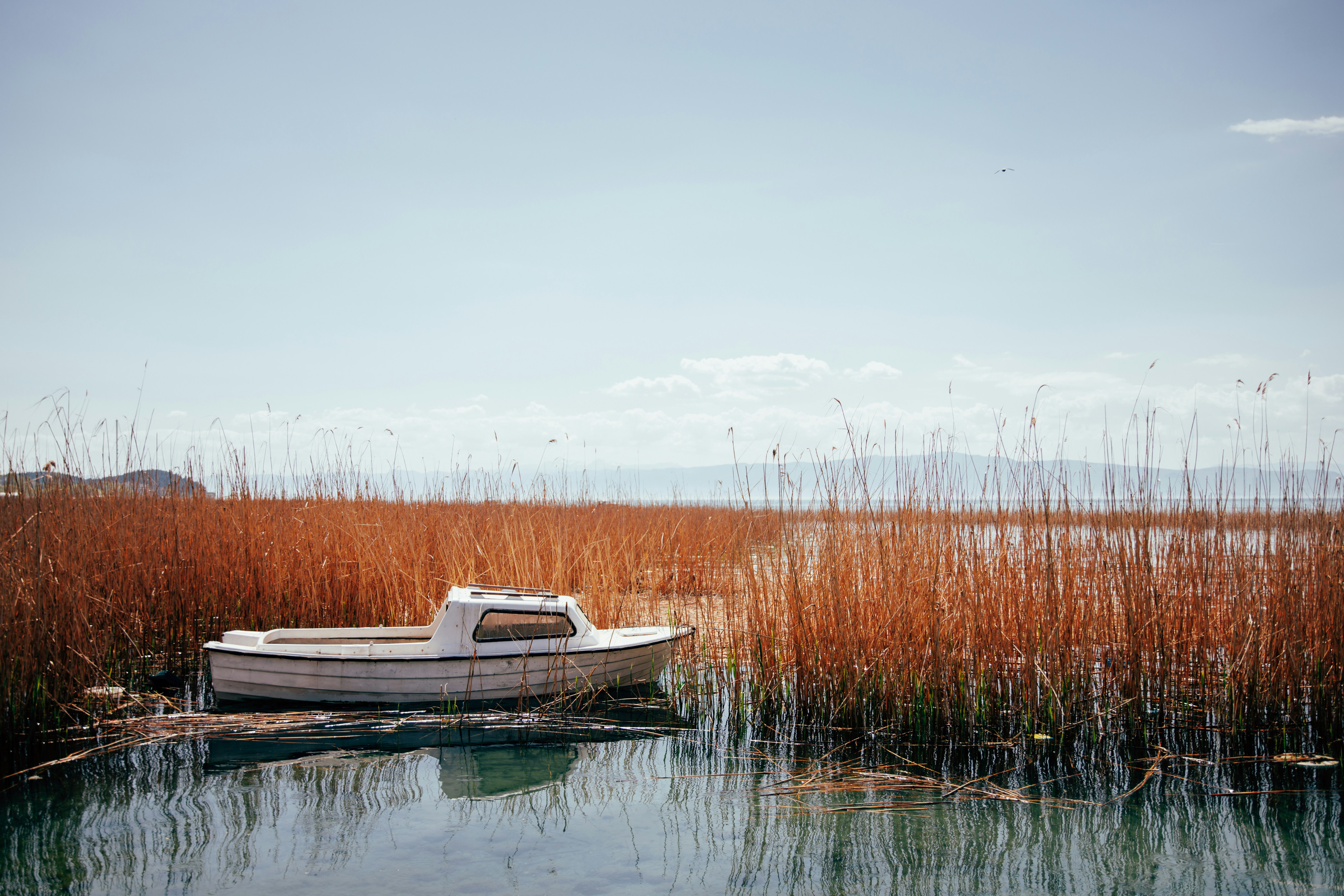 Rusty Lakes Photo Pictures | Download Free Images on Unsplash