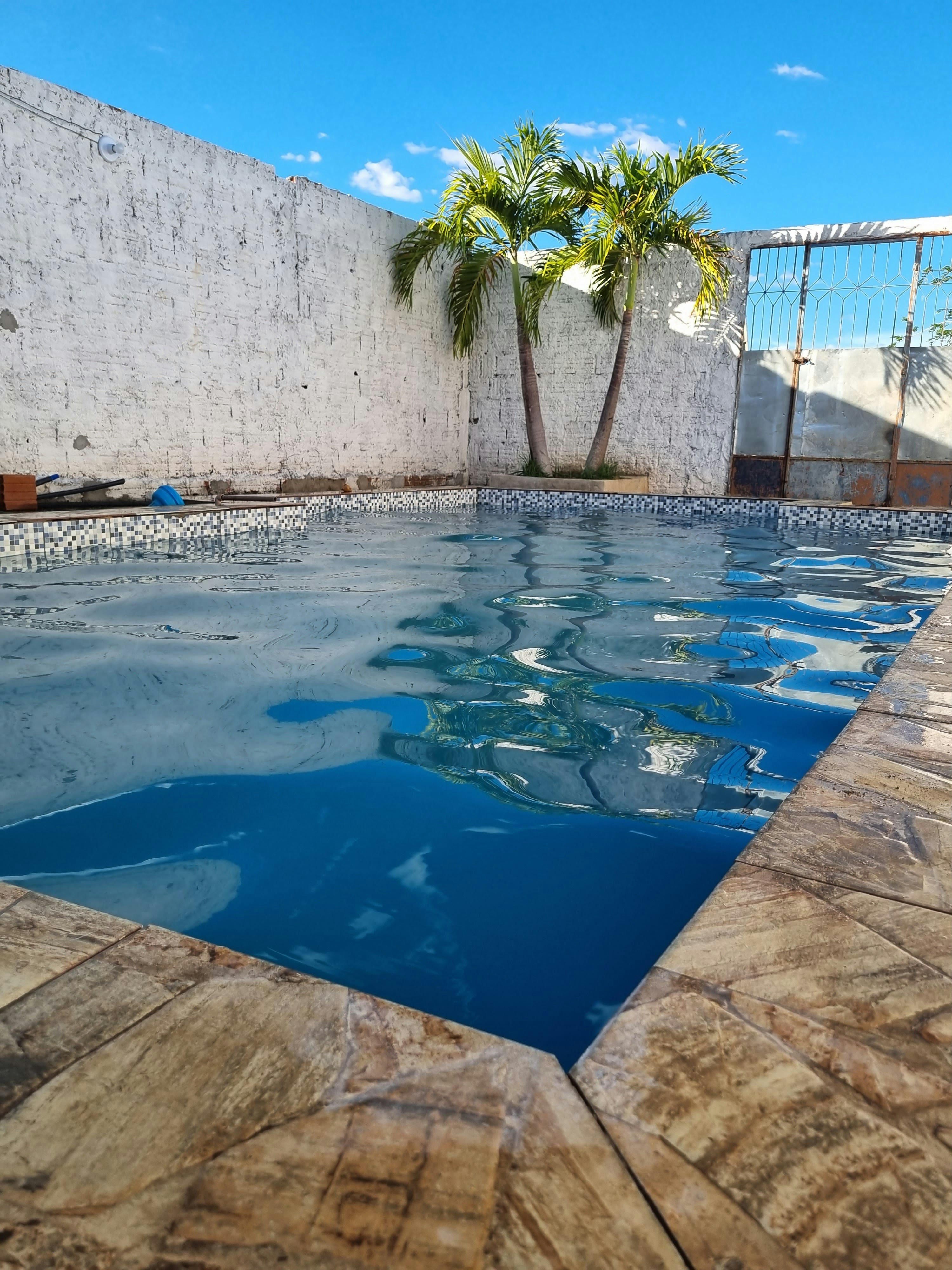 A swimming pool with a palm tree in the background photo – Free Pool ...