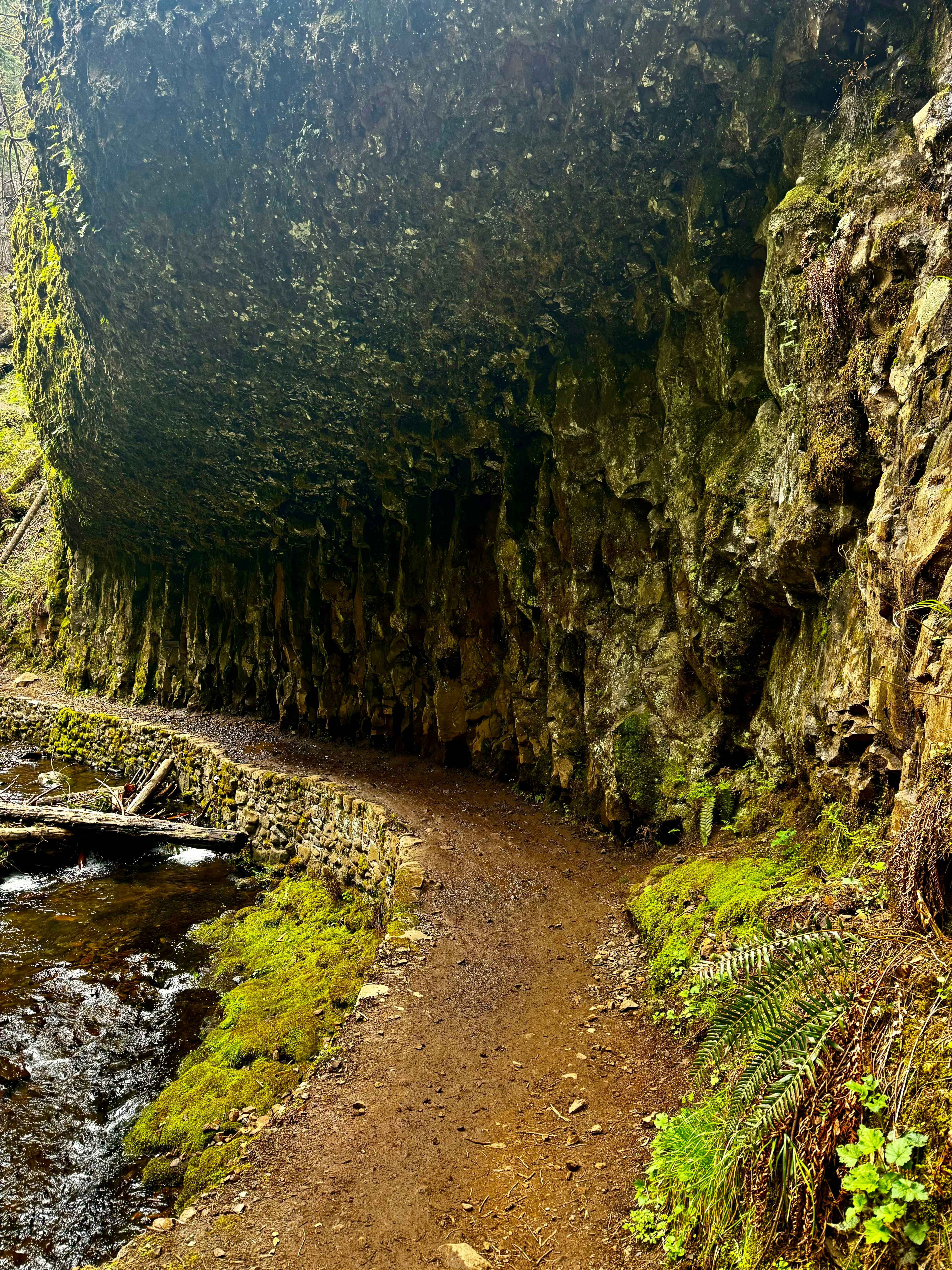 A winding trail beneath a moss-covered overhang, bordered by a gentle stream and lush greenery.