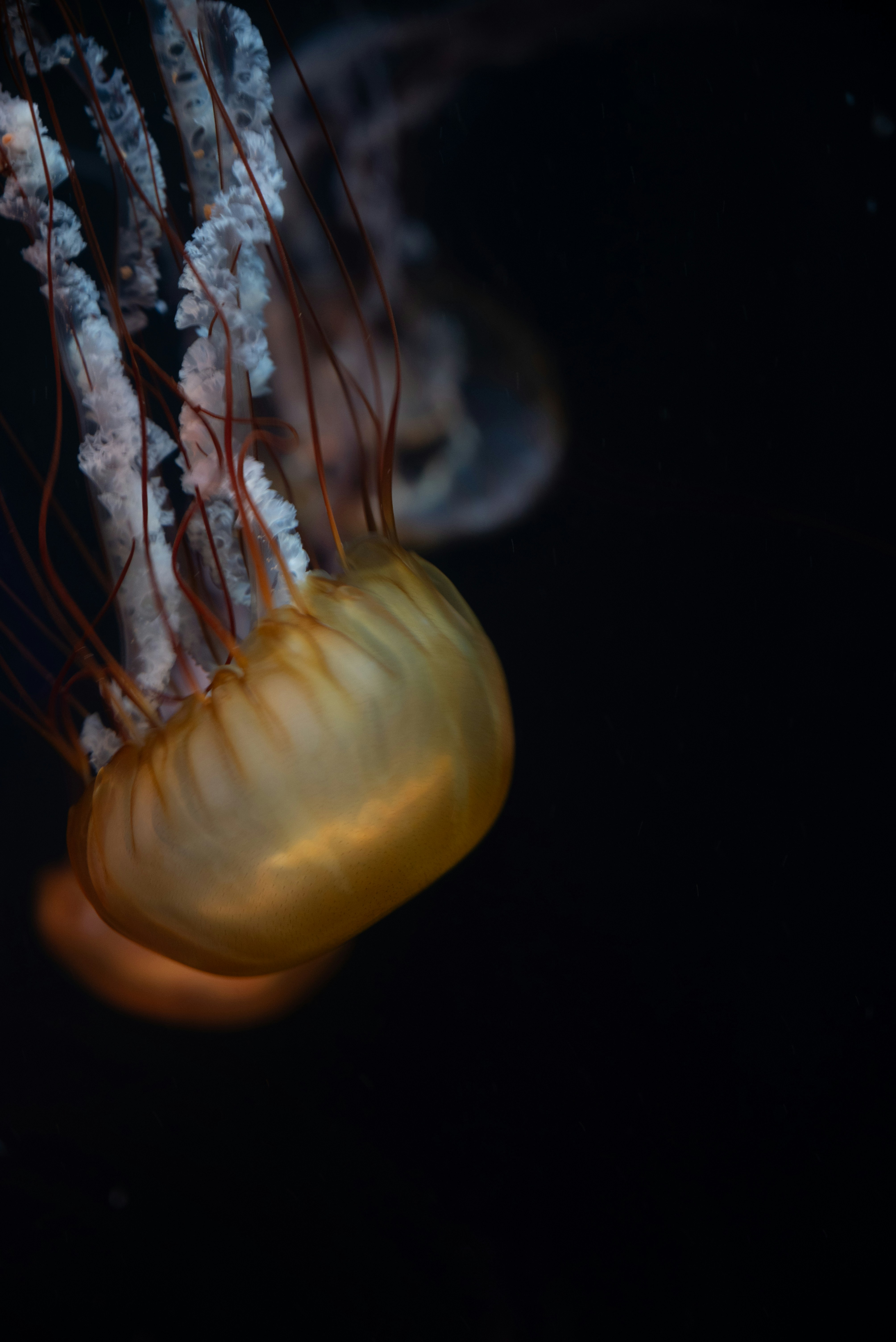 Bryan Heng (@bryan_hys) | Communauté photos Unsplash