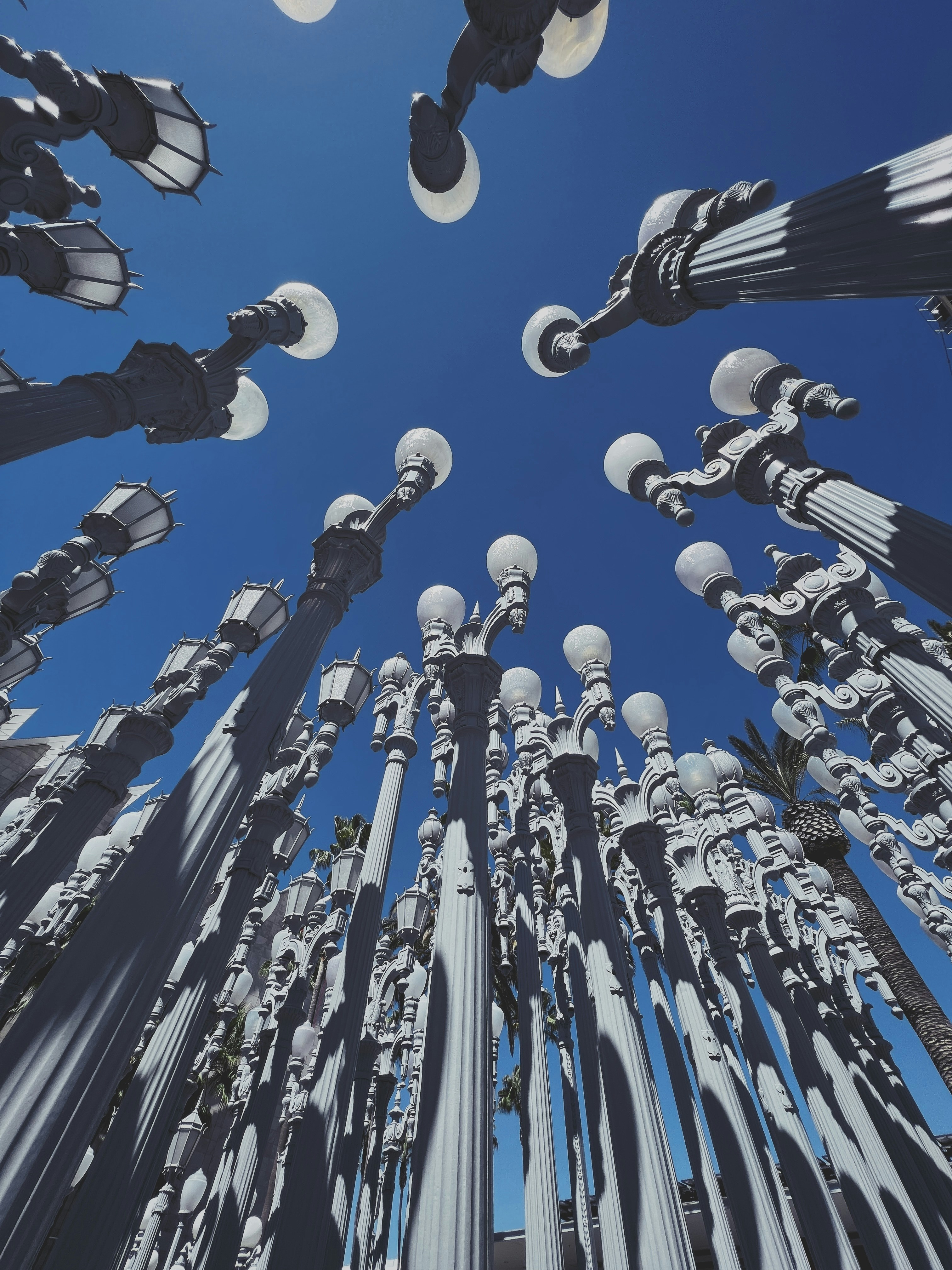 Pole Choir: A Constellation of Lantern Posts Reaching the Sky