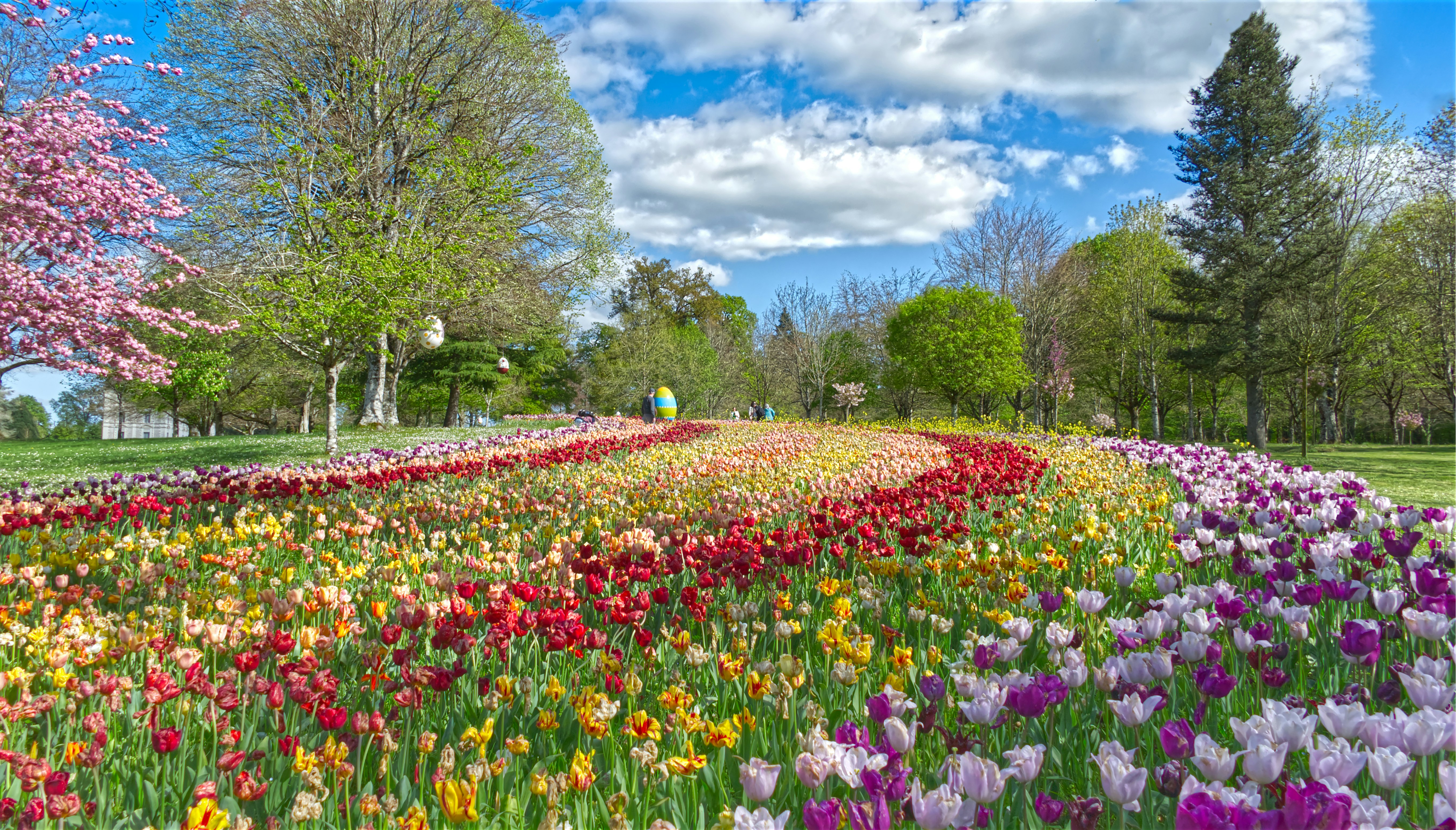 De magnifiques parterres de fleurs agrémentent votre visite du parc du Château de Cheverny. | a field full of colorful flowers under a blue sky