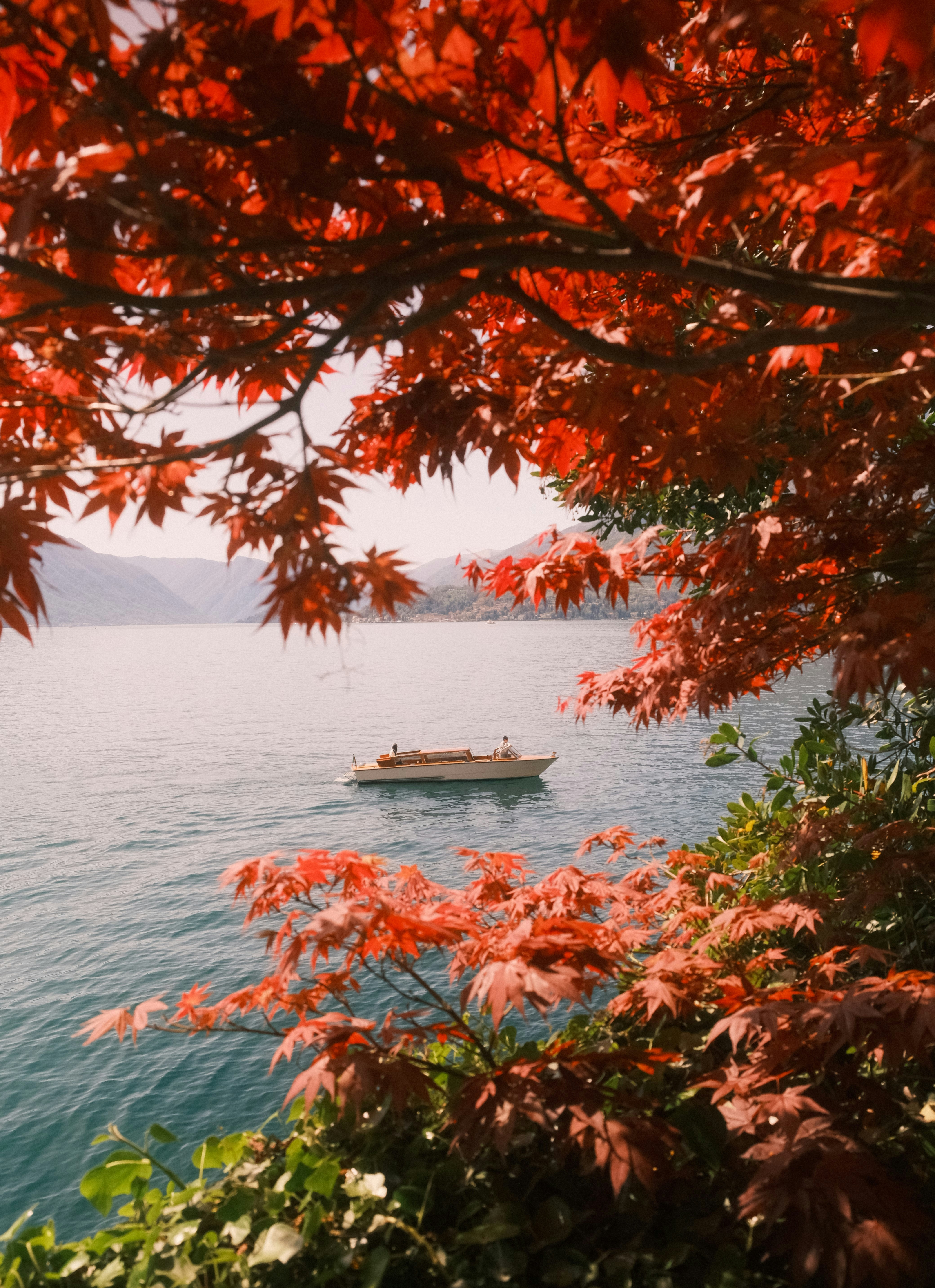 A small motorboat glides across a calm lake, framed by vibrant red maple leaves in the foreground. The autumn foliage adds depth and a serene mood.