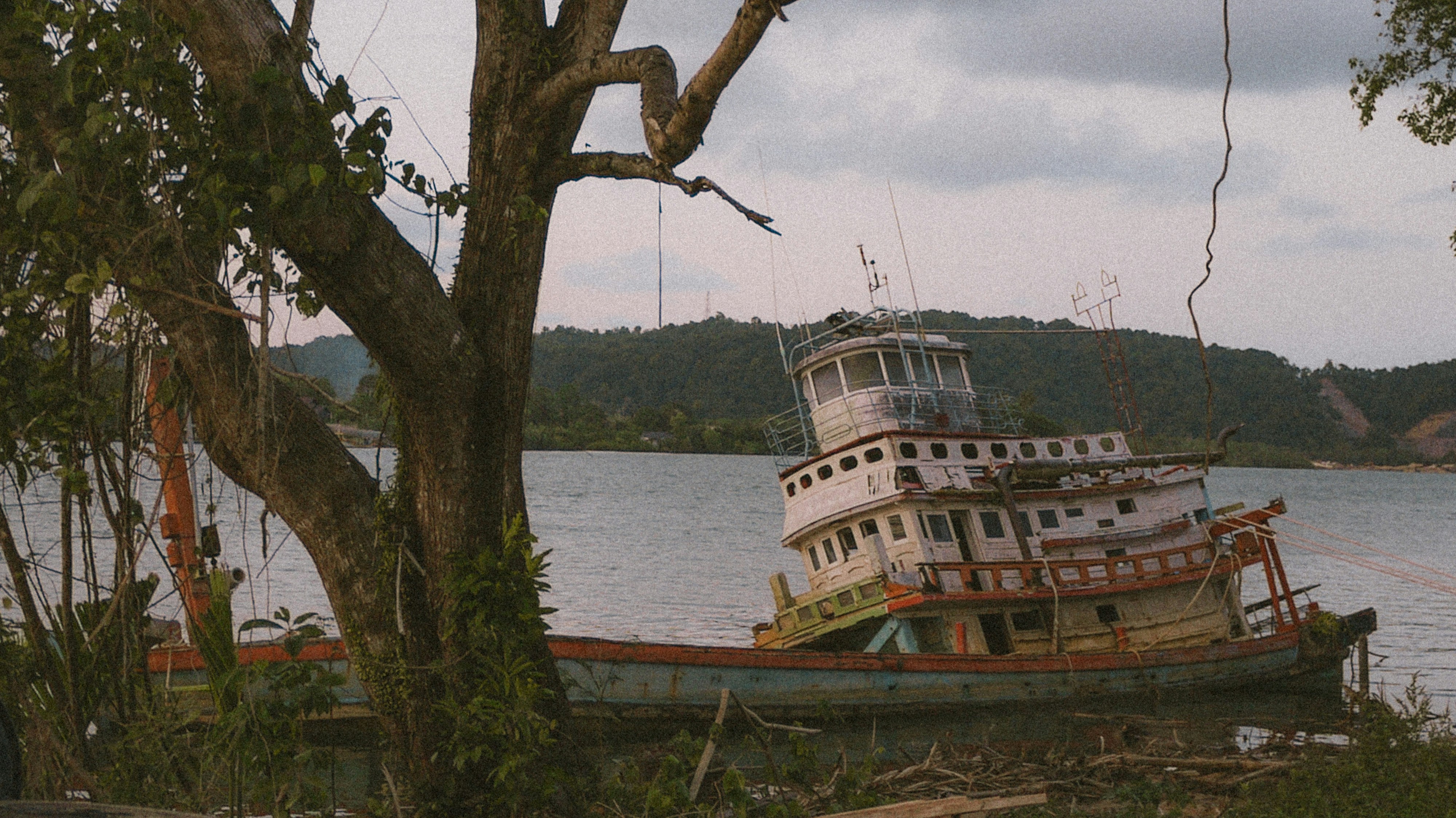 Sample photo from Panasonic Lumix GF2