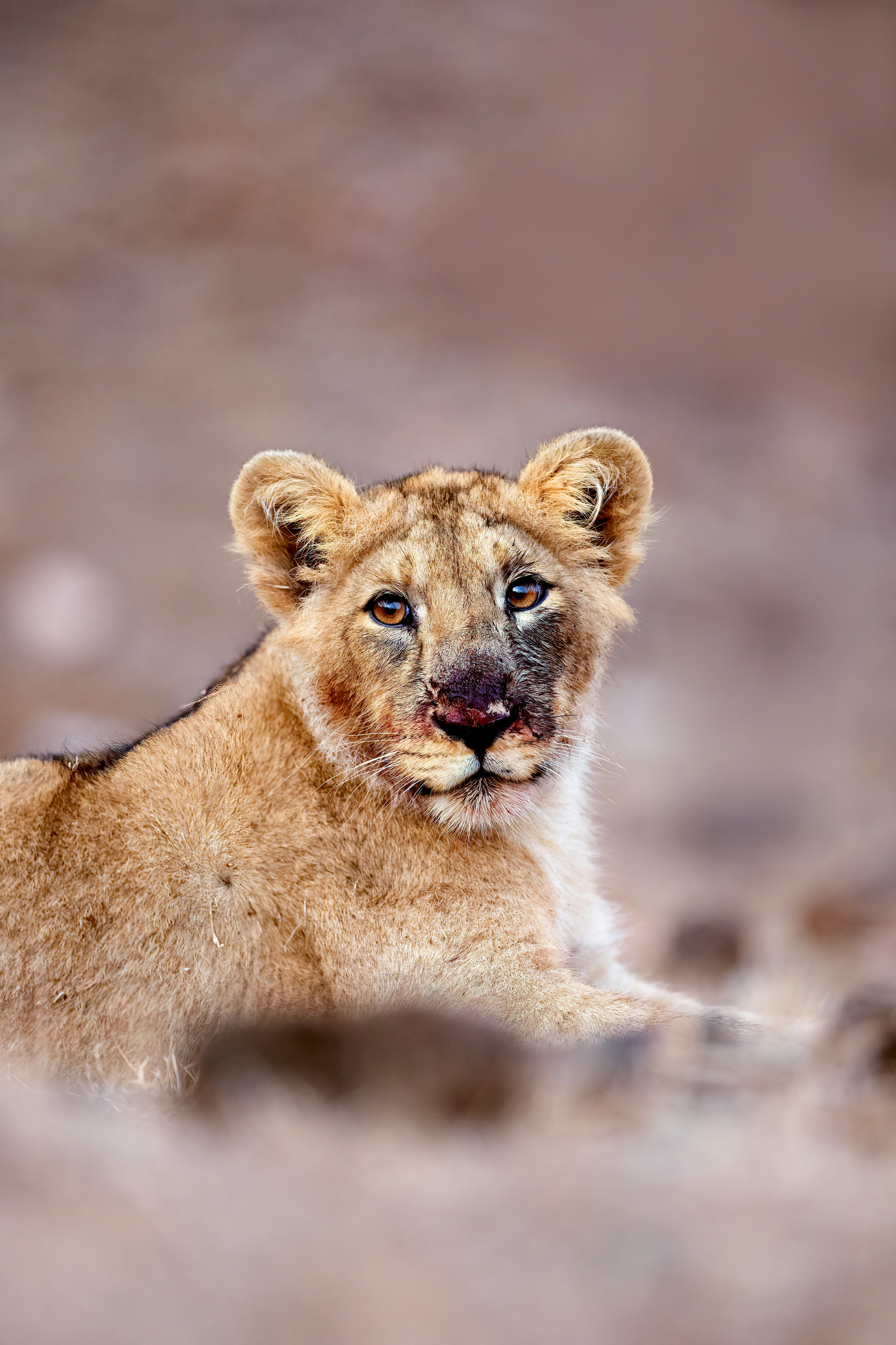 Quality is always costly