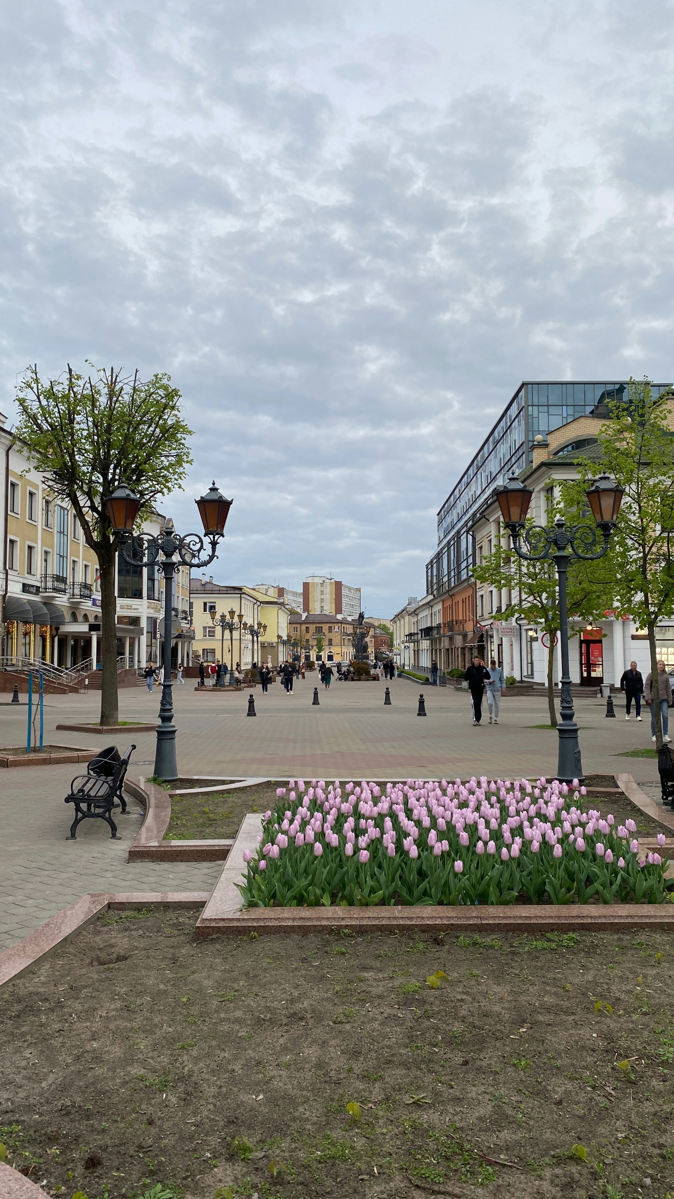 Foto Seikat bunga yang ada di rumput – Gambar Kota Gratis di Unsplash