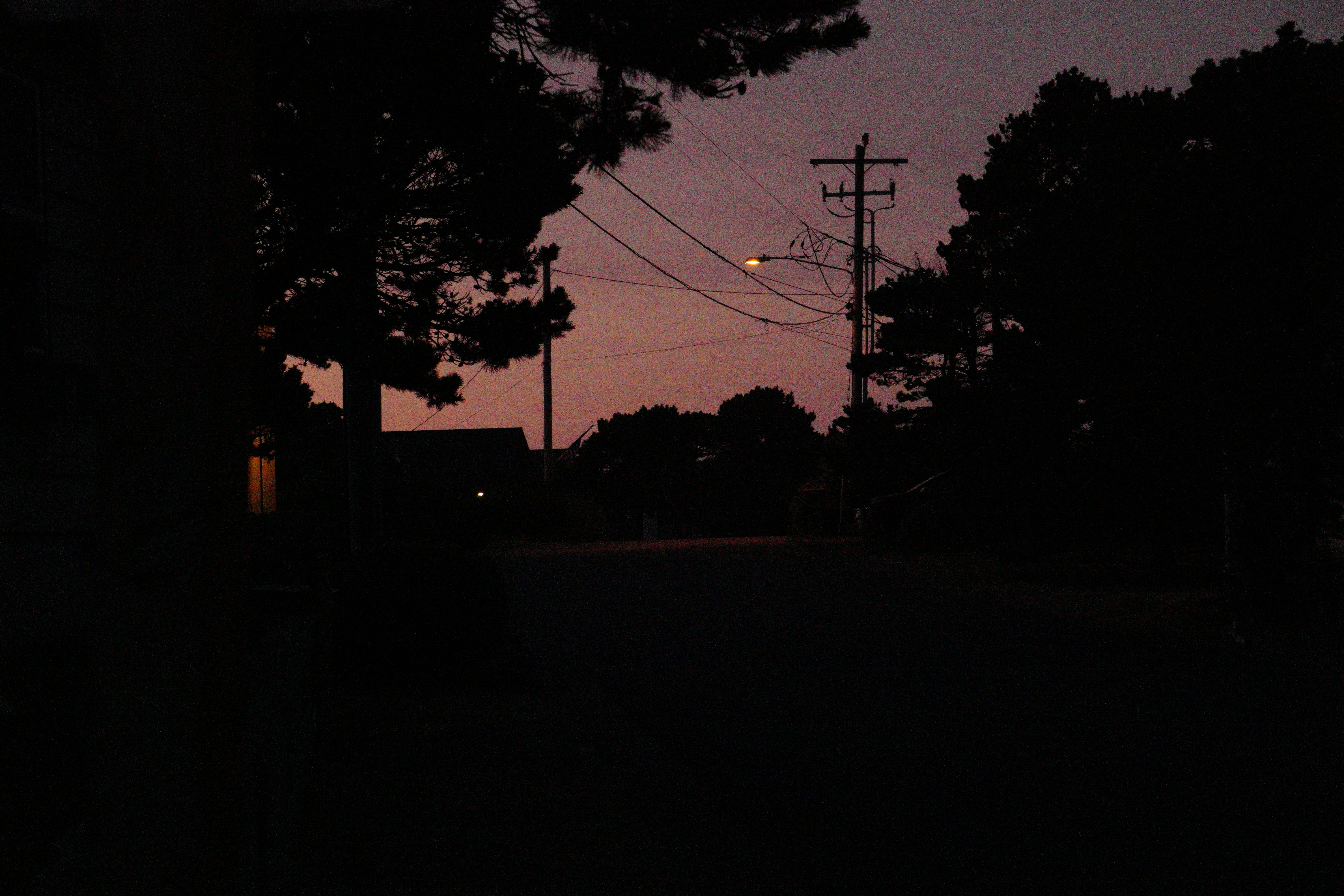 Pink Hour on a Suburban Street: silhouettes, power lines, and a lone streetlight