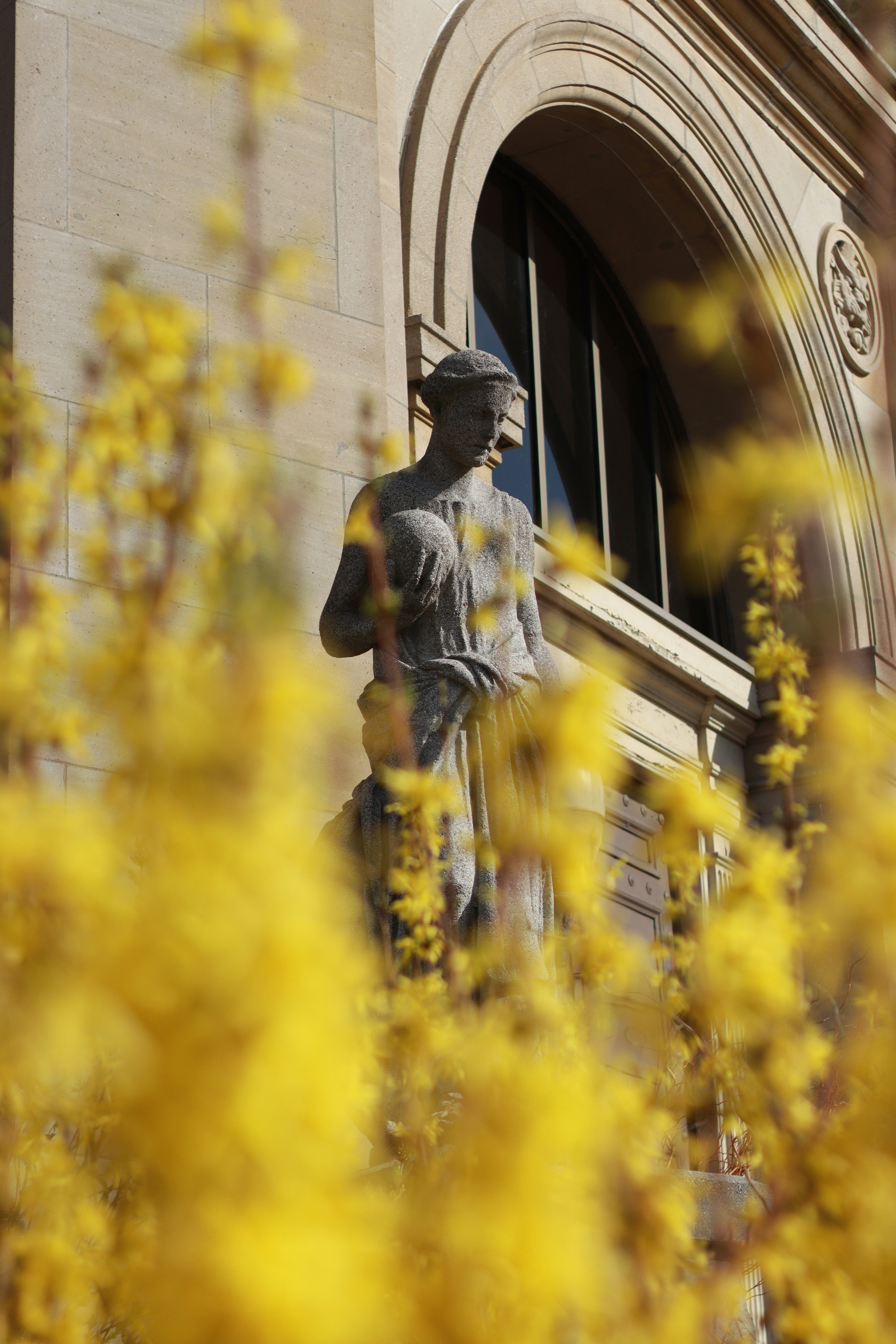 Stone Guardian Framed by a Field of Golden Yellow