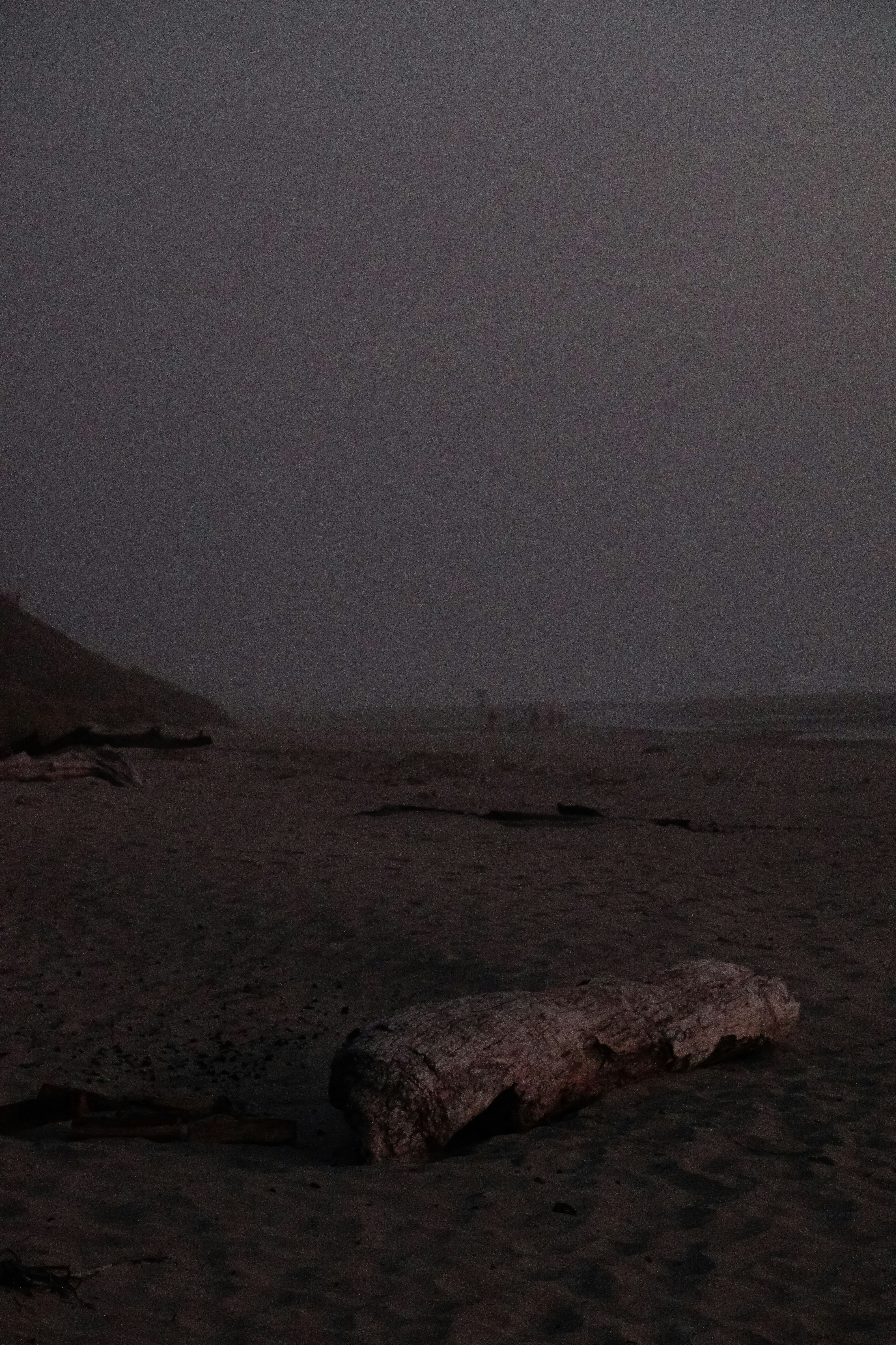 Muted Driftwood at Dusk: A Quiet Beach Study